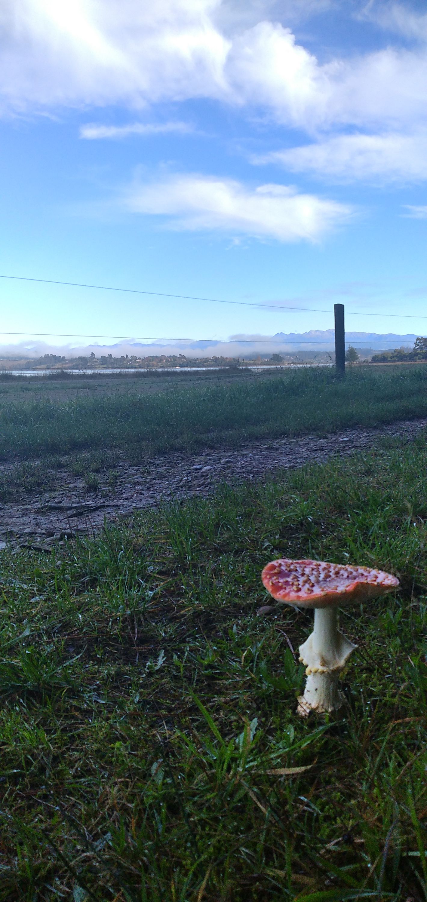 Rough Around the Edges, Tasman - Trails Photo Gallery - Wild Things