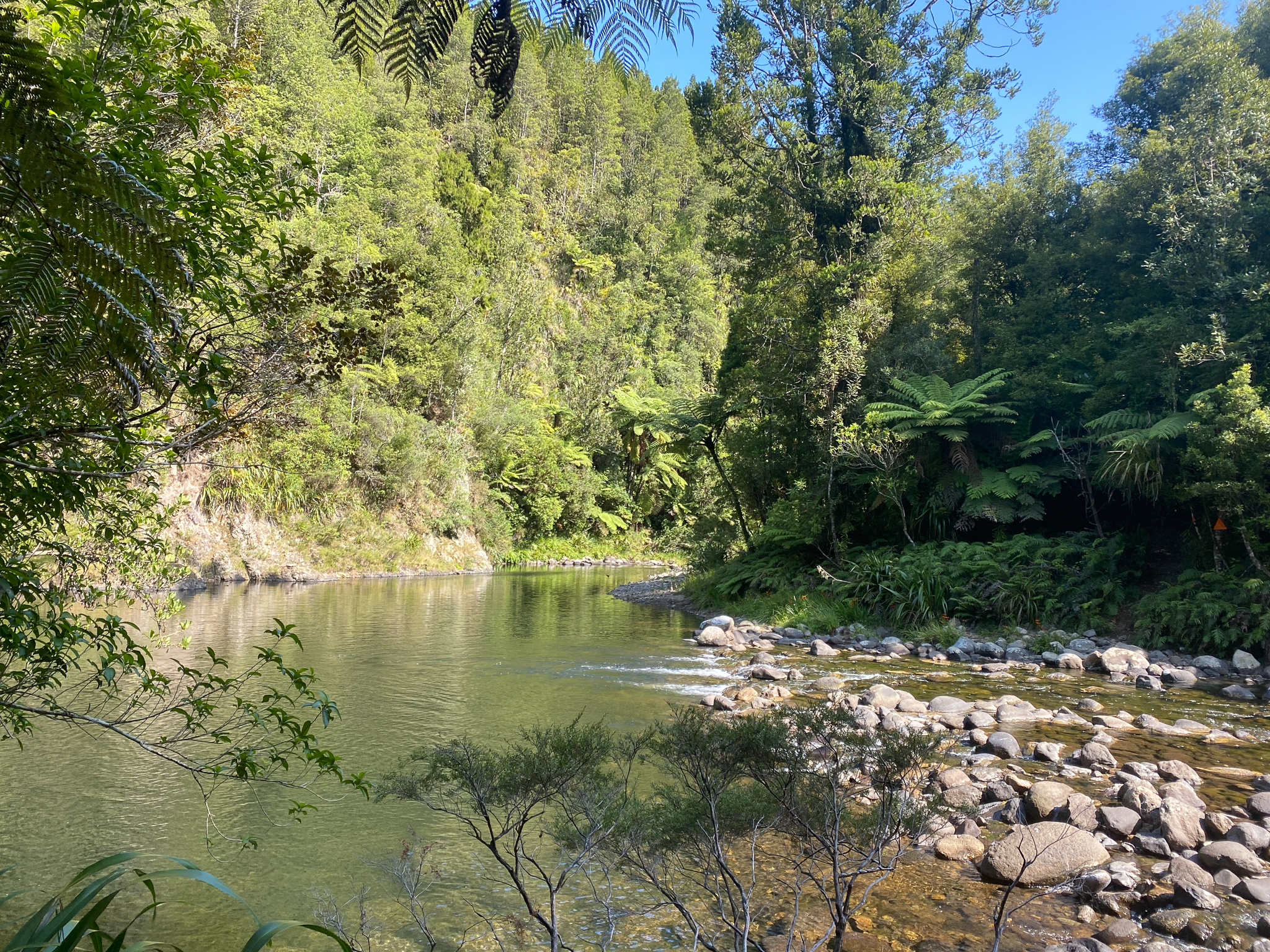 Ohinemuri to Waitawheta, Waikato - Trails Photo Gallery - Wild Things