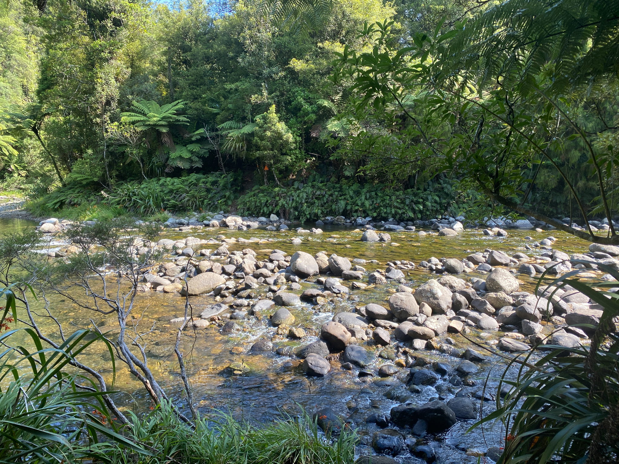 Ohinemuri to Waitawheta, Waikato - Trails Photo Gallery - Wild Things