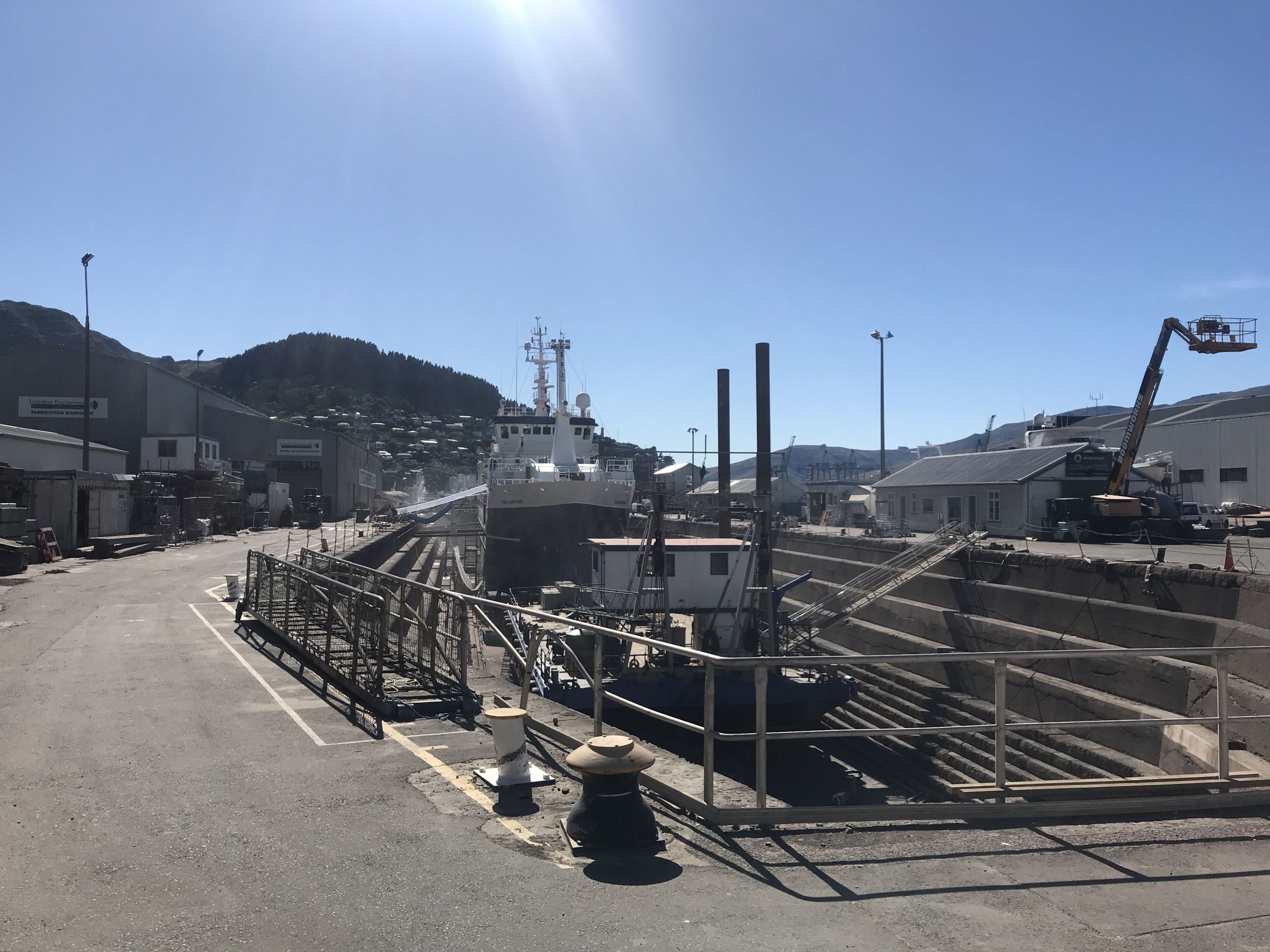 Port Hills Protocol, Canterbury - Trails Photo Gallery - Wild Things