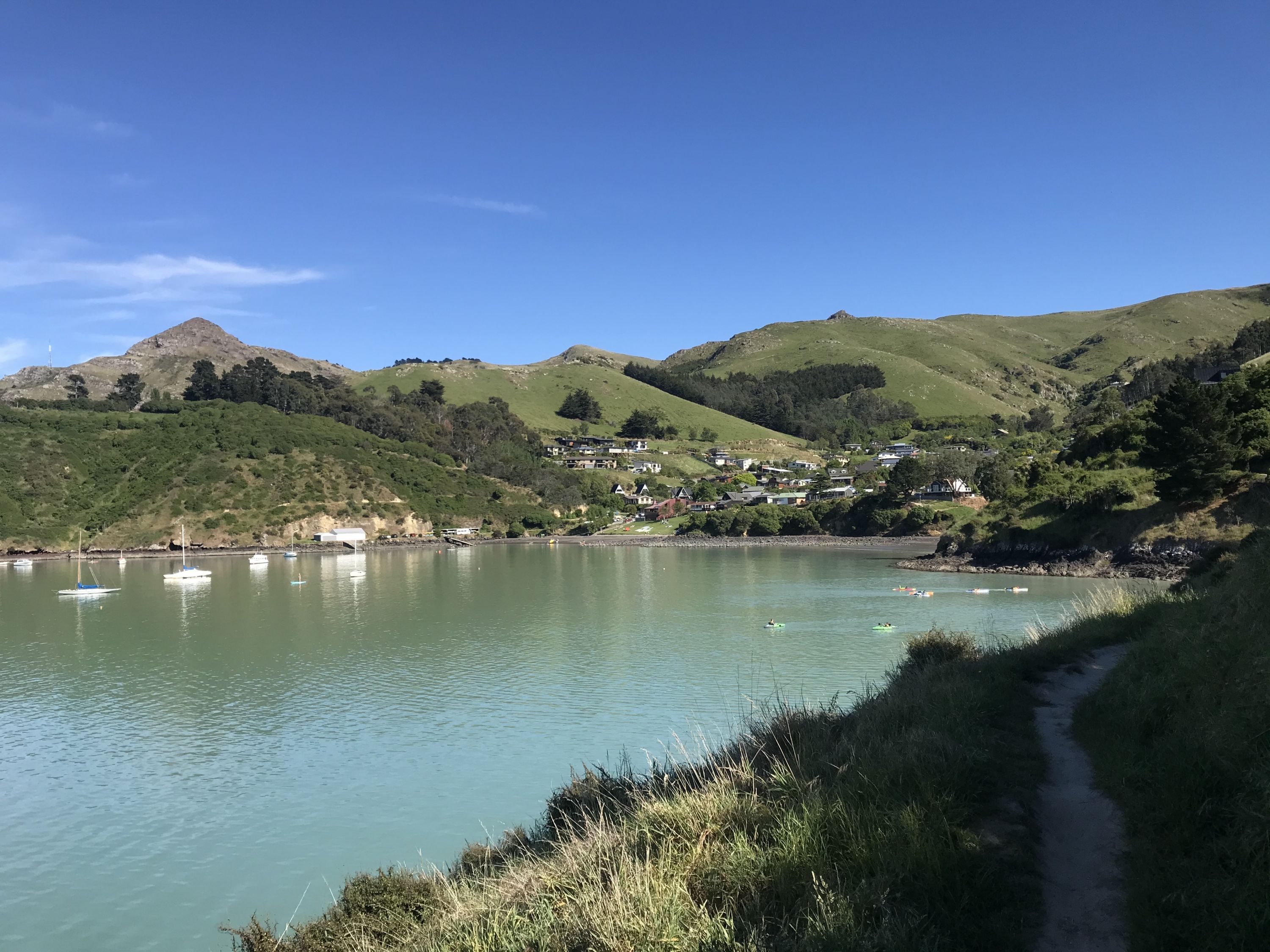 Port Hills Protocol, Canterbury - Trails Photo Gallery - Wild Things