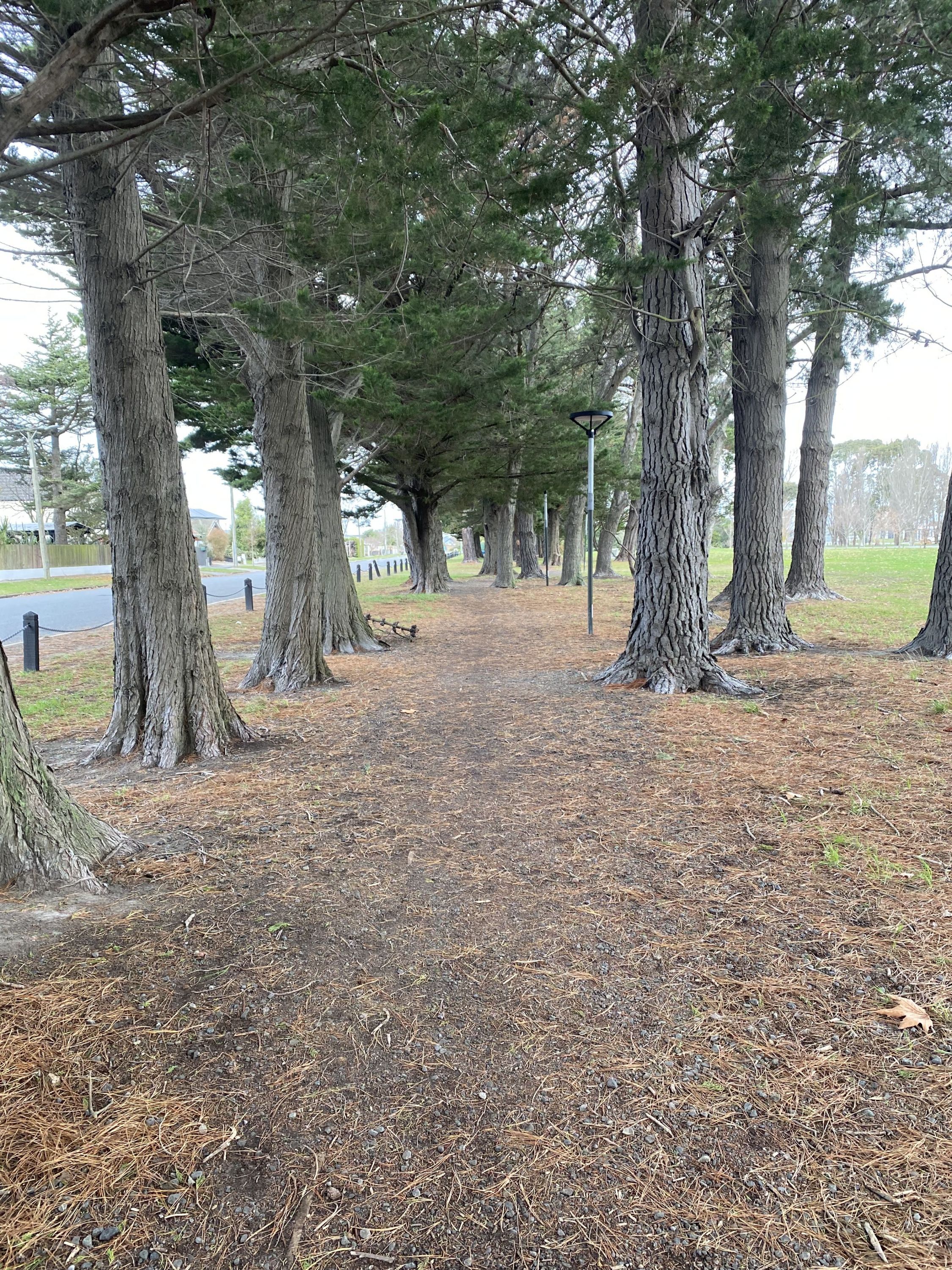 Taiora Track, Canterbury - Trails Photo Gallery - Wild Things