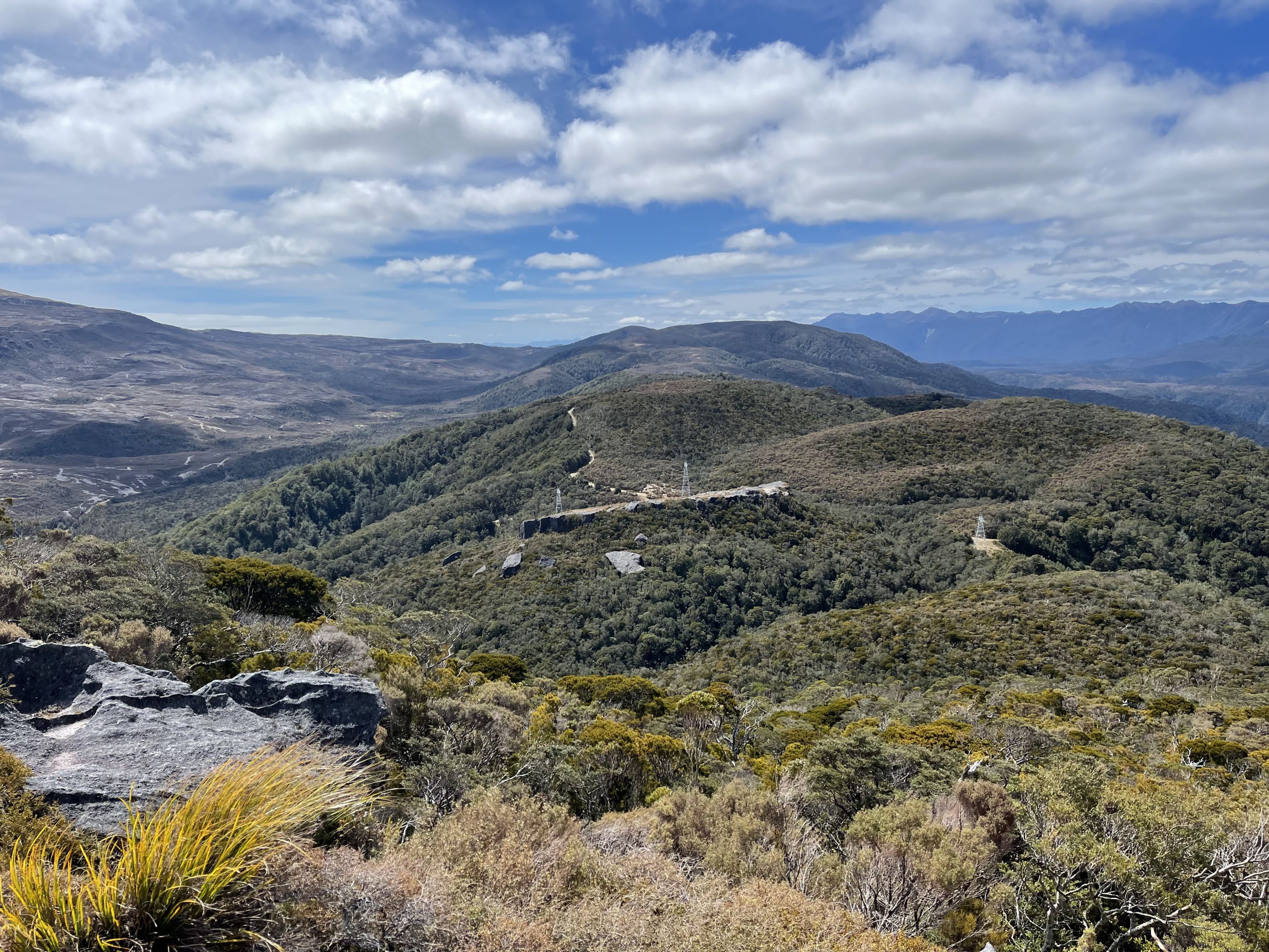 Mt William Loop, West Coast - Trails Photo Gallery - Wild Things