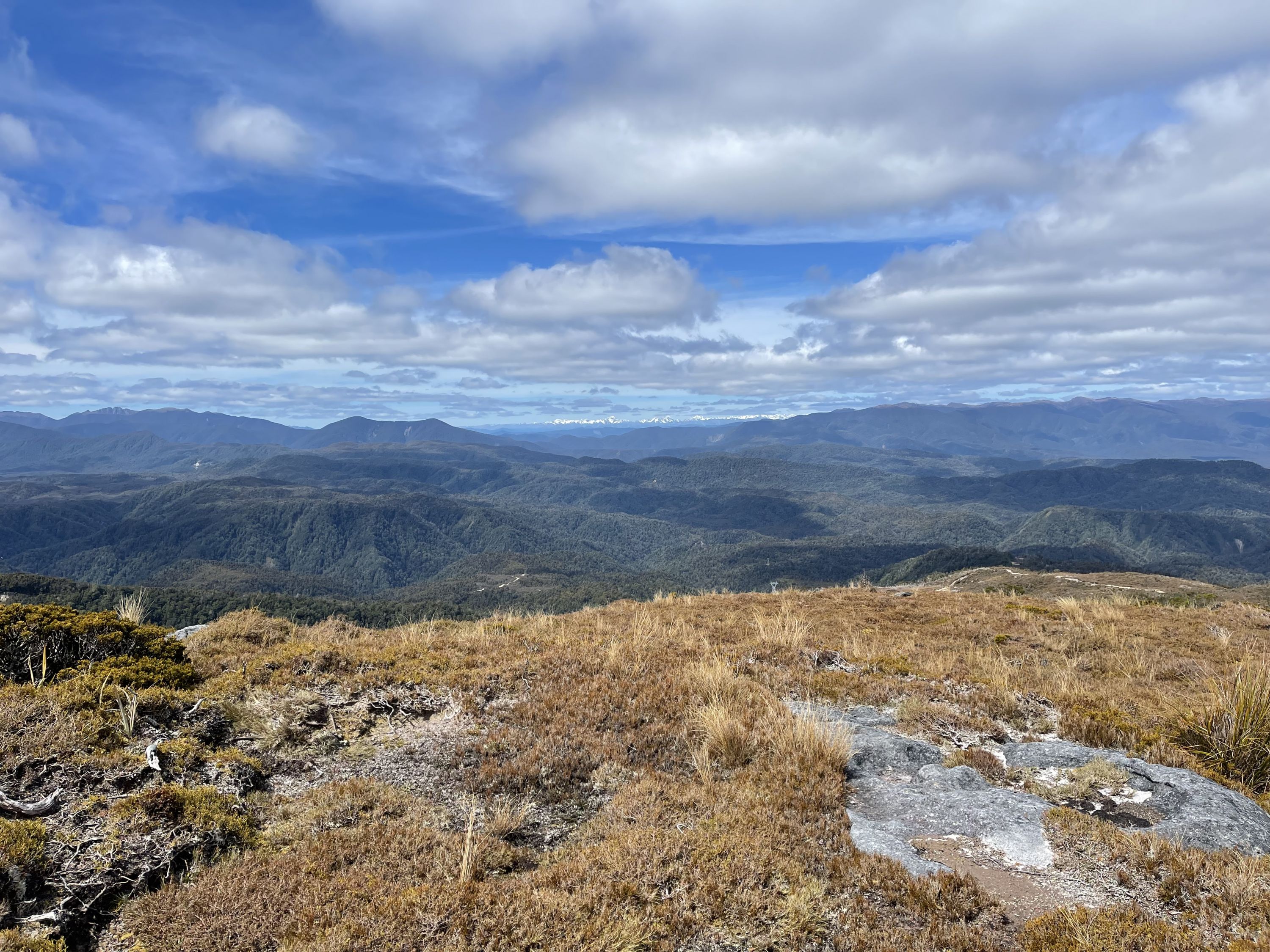 Mt William Loop, West Coast - Trails Photo Gallery - Wild Things