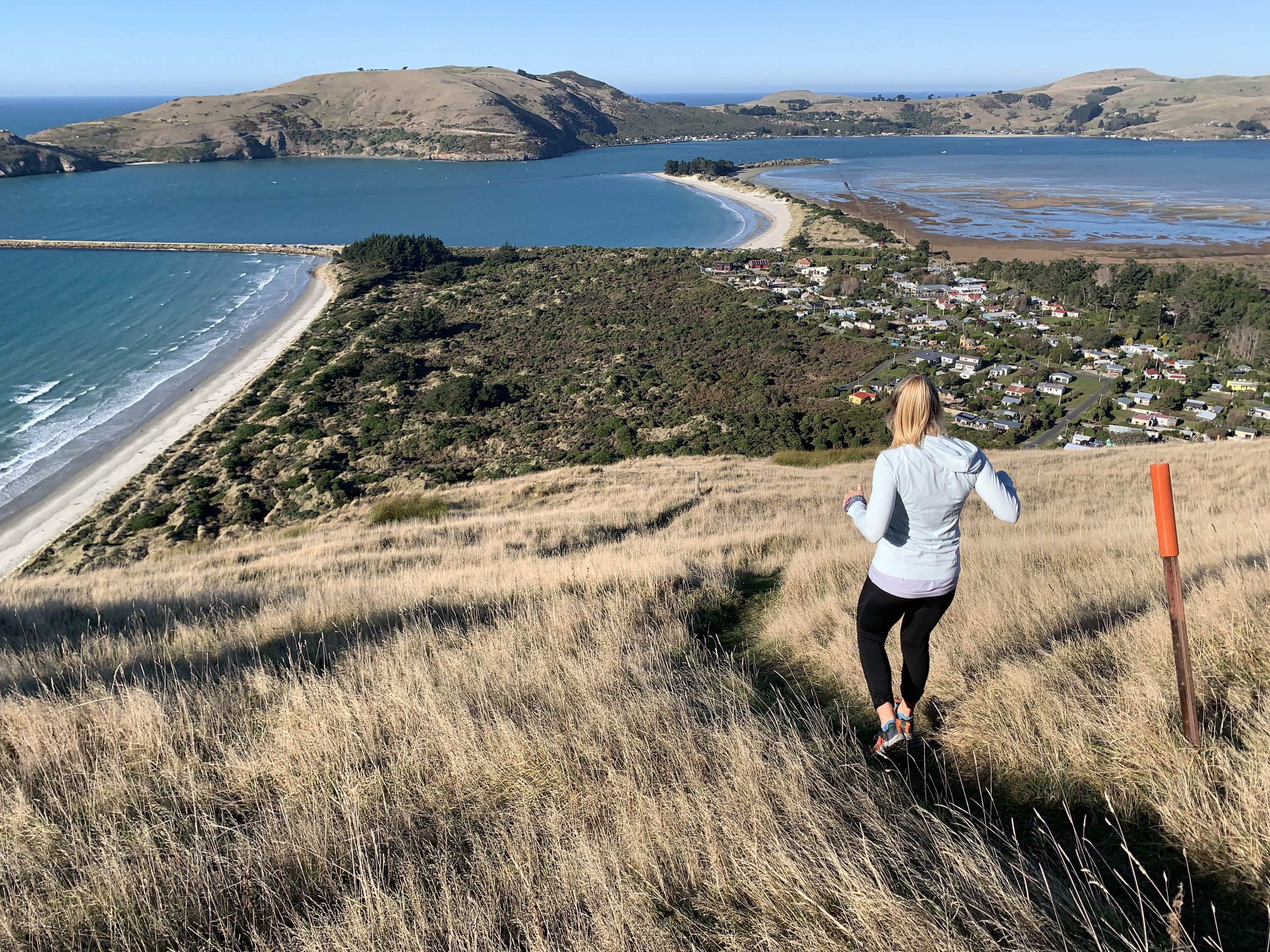 Heyward Point, Otago - Trails Photo Gallery - Wild Things