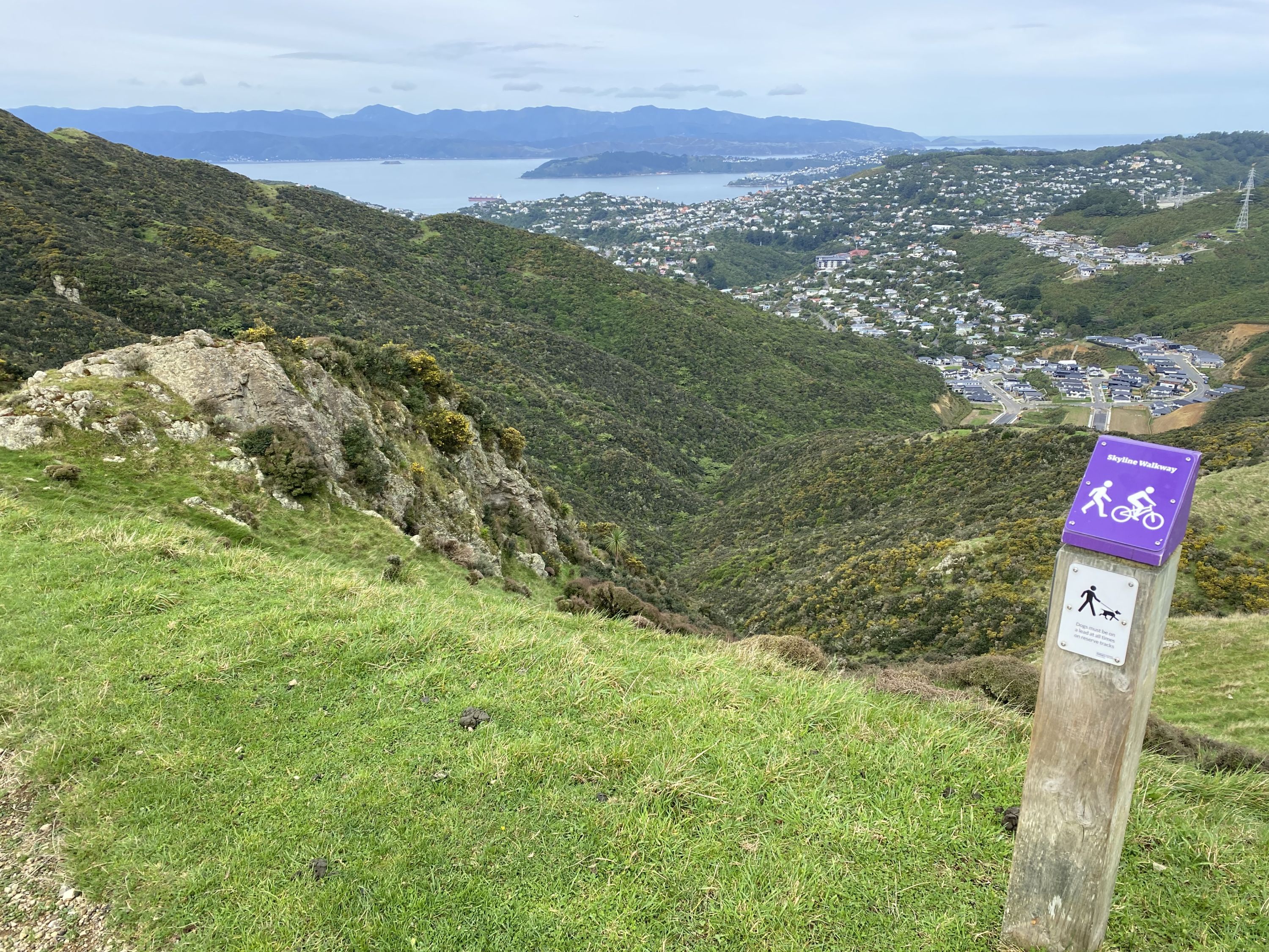 Full Wellington Skyline Trail , Wellington - Trails Photo Gallery ...