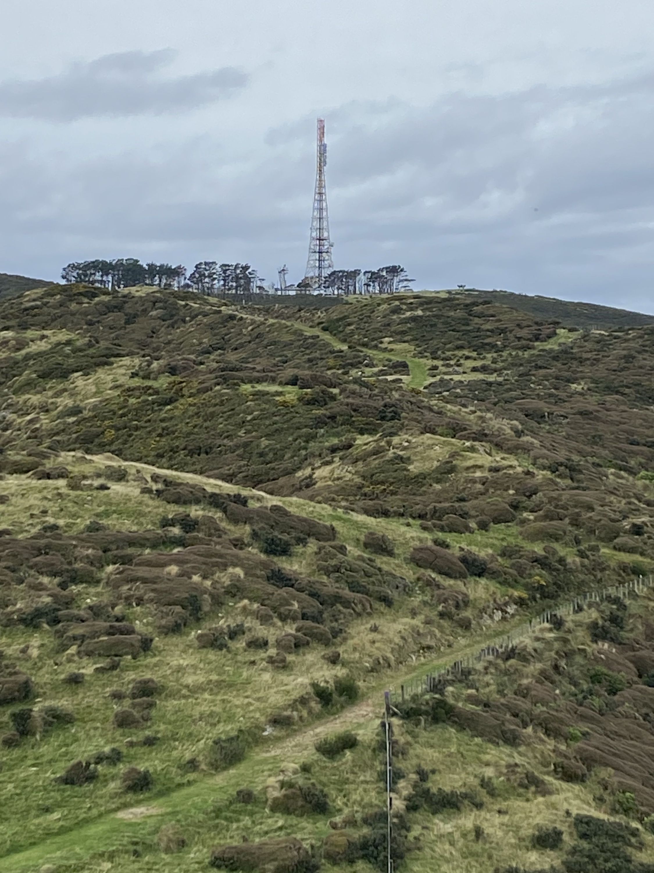 Full Wellington Skyline Trail , Wellington - Trails Photo Gallery ...