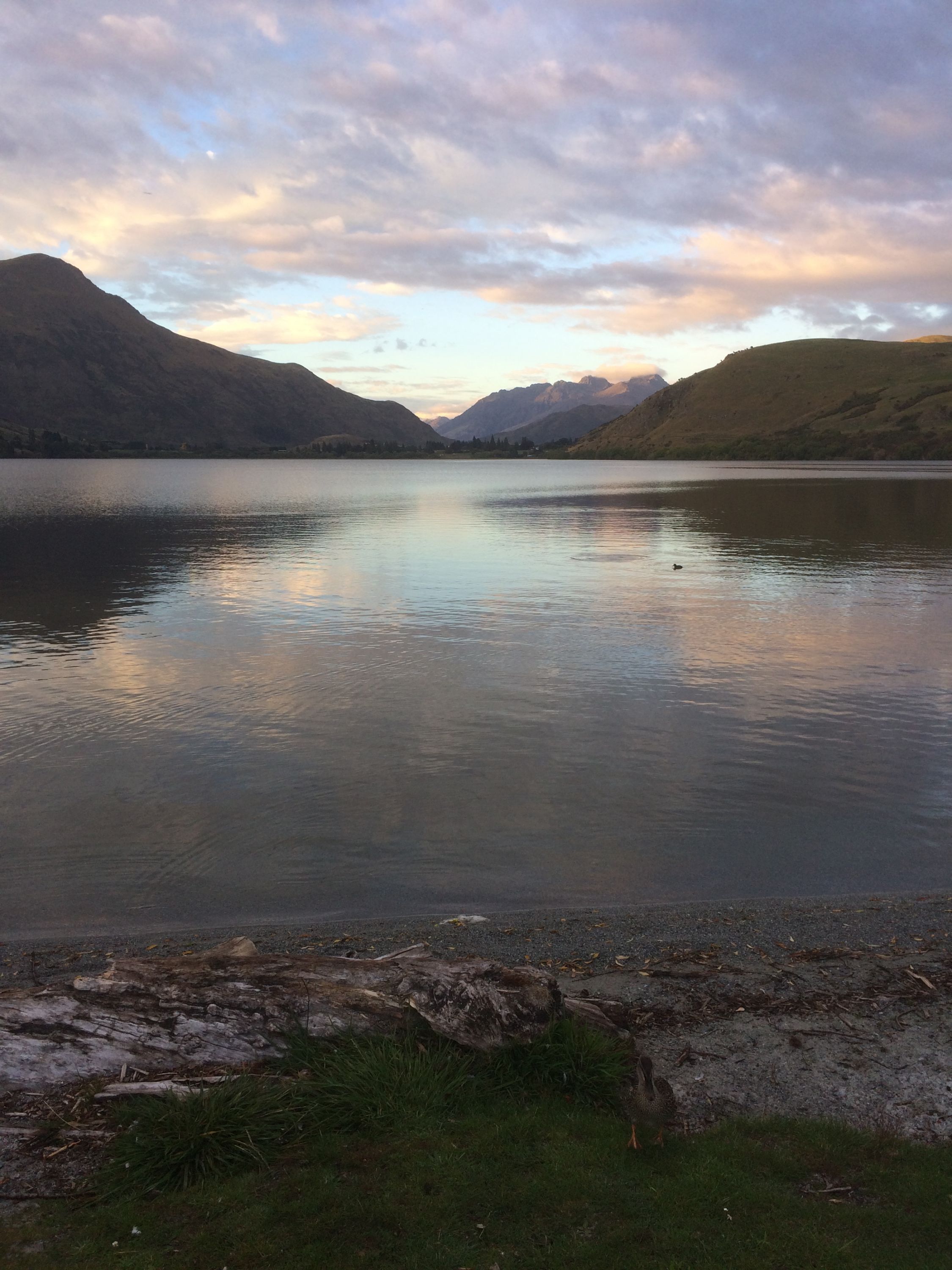 Lake Hayes Circuit, Otago - Trails Photo Gallery - Wild Things