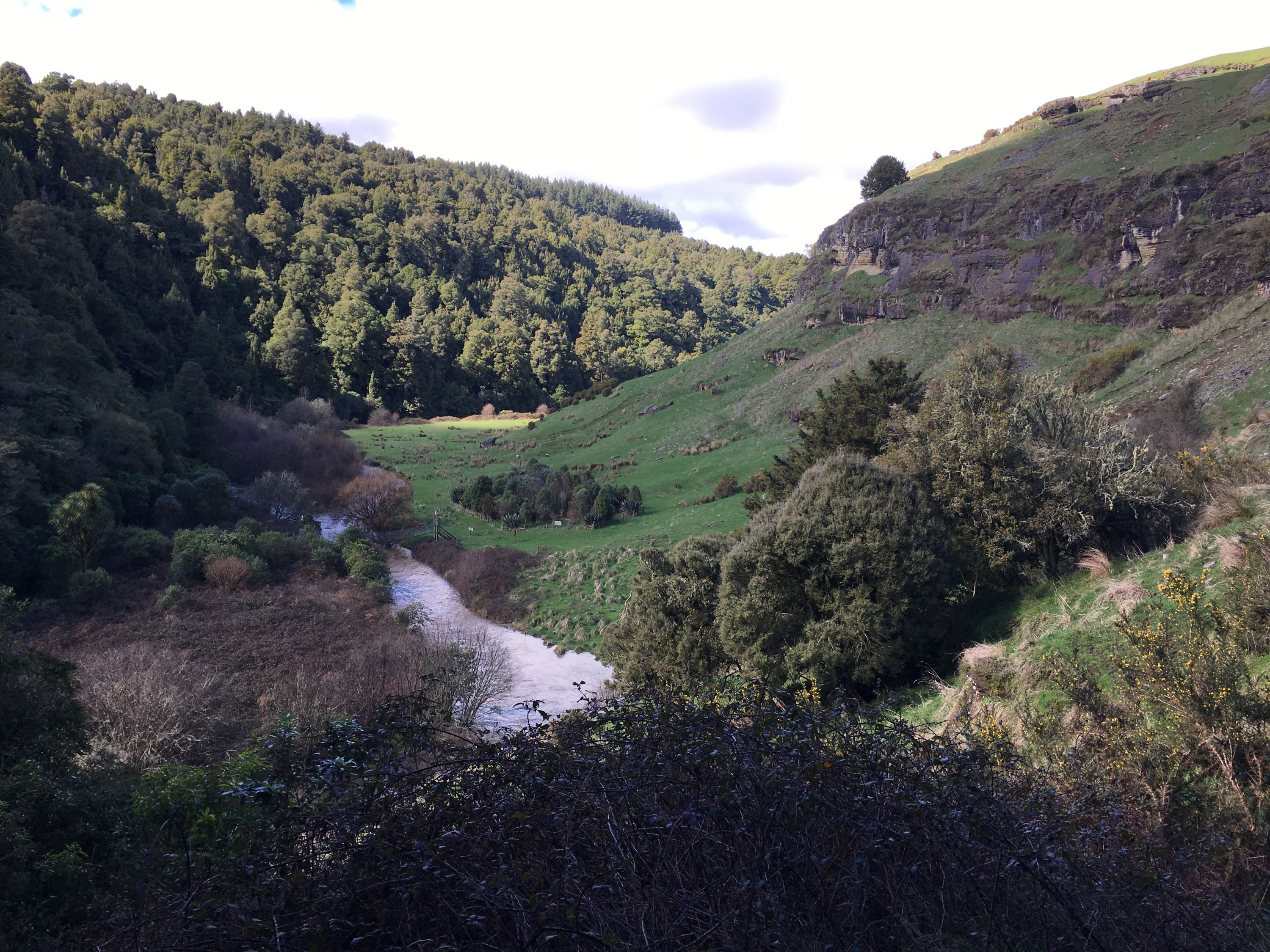 Mangaokewa, Waikato - Trails Photo Gallery - Wild Things