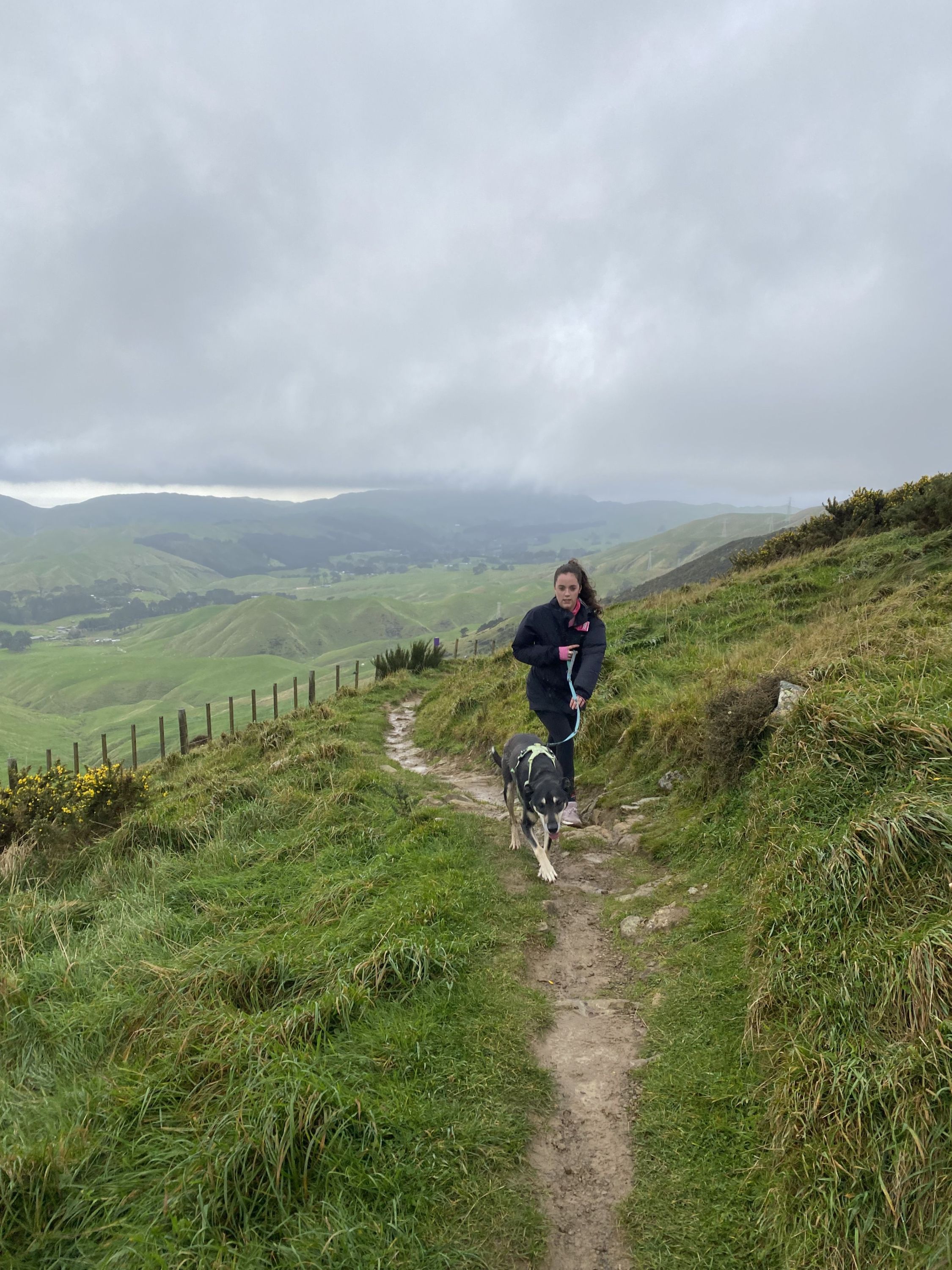 Full Wellington Skyline Trail , Wellington - Trails Photo Gallery ...