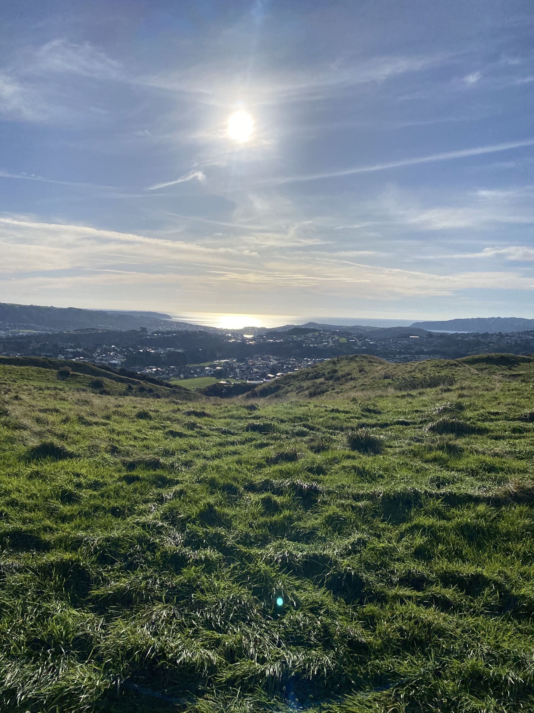 Māra Roa and Waihora, Wellington - Trails Photo Gallery - Wild Things