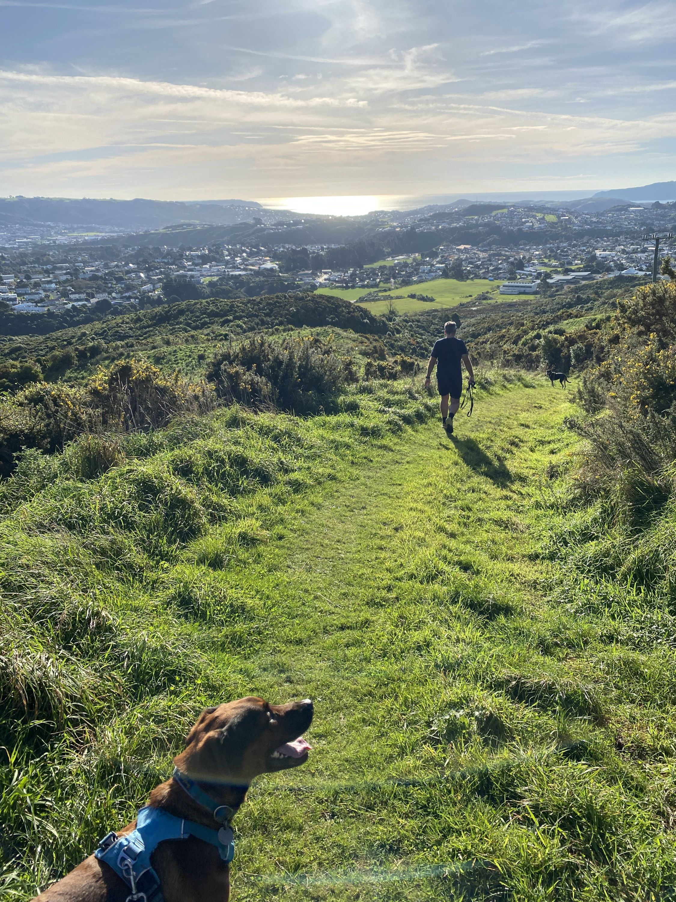 Māra Roa and Waihora, Wellington - Trails Photo Gallery - Wild Things