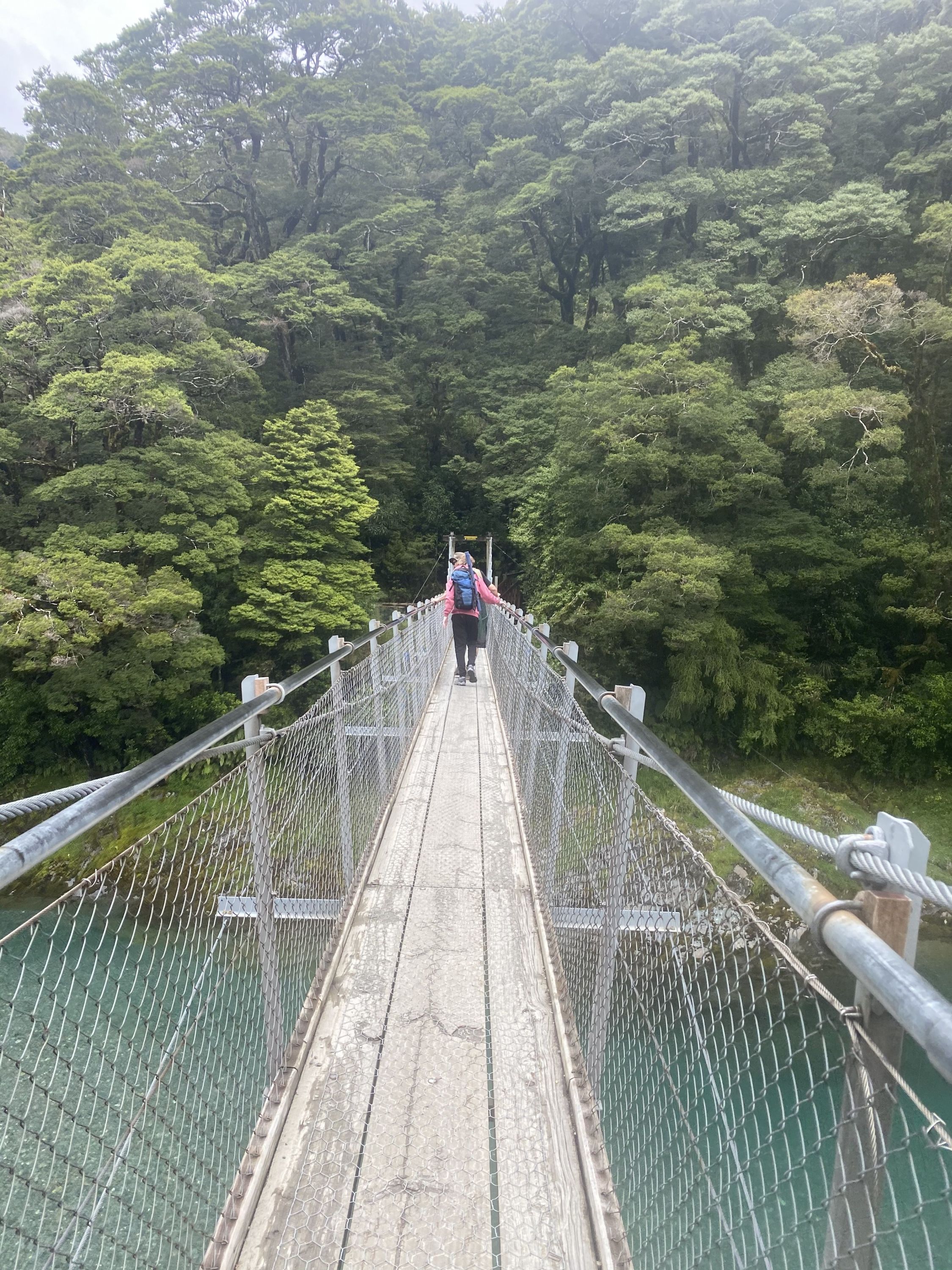 Blue Pools Plus, West Coast - Trails Photo Gallery - Wild Things