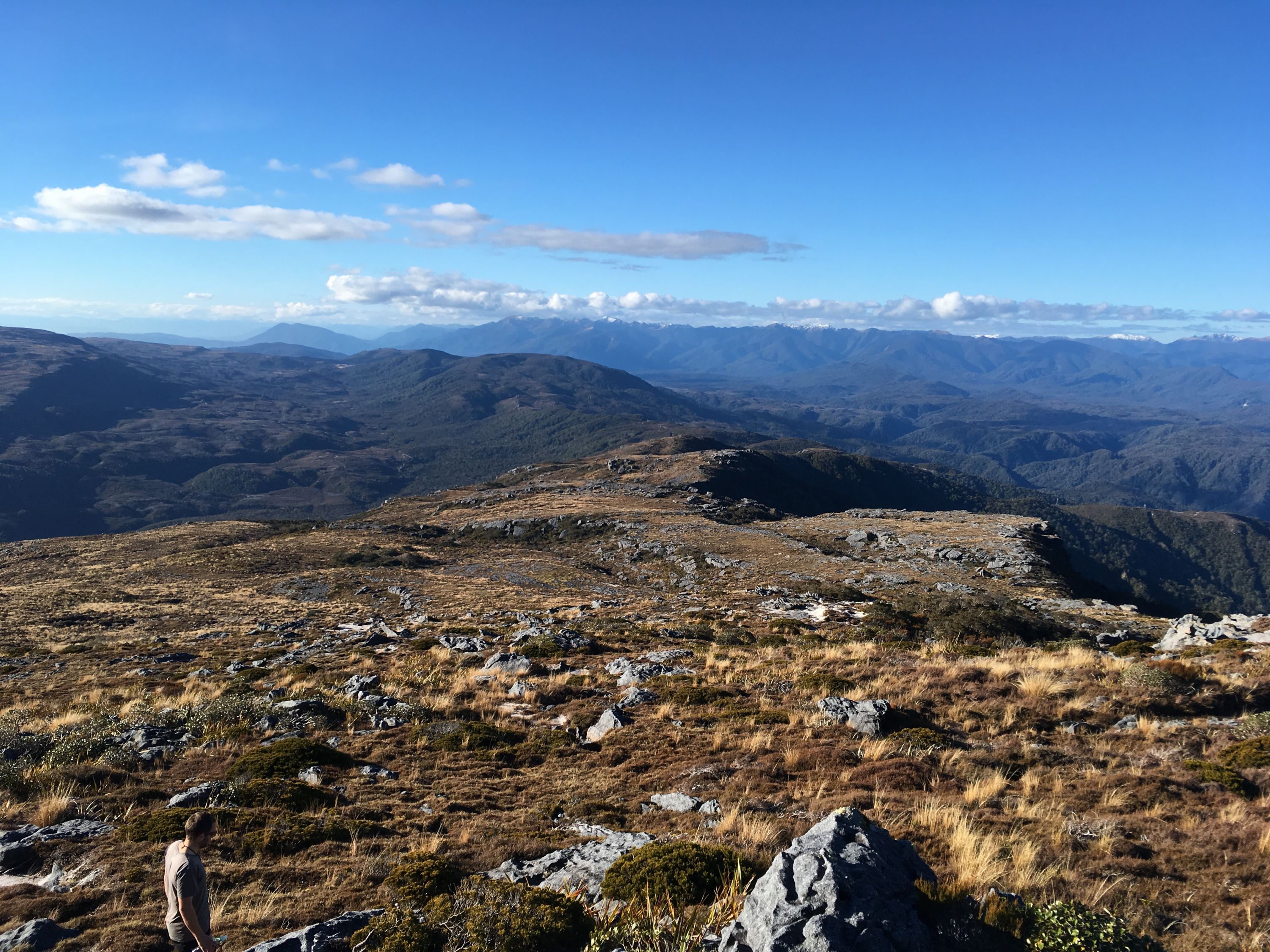 Mt William Loop, West Coast - Trails Photo Gallery - Wild Things