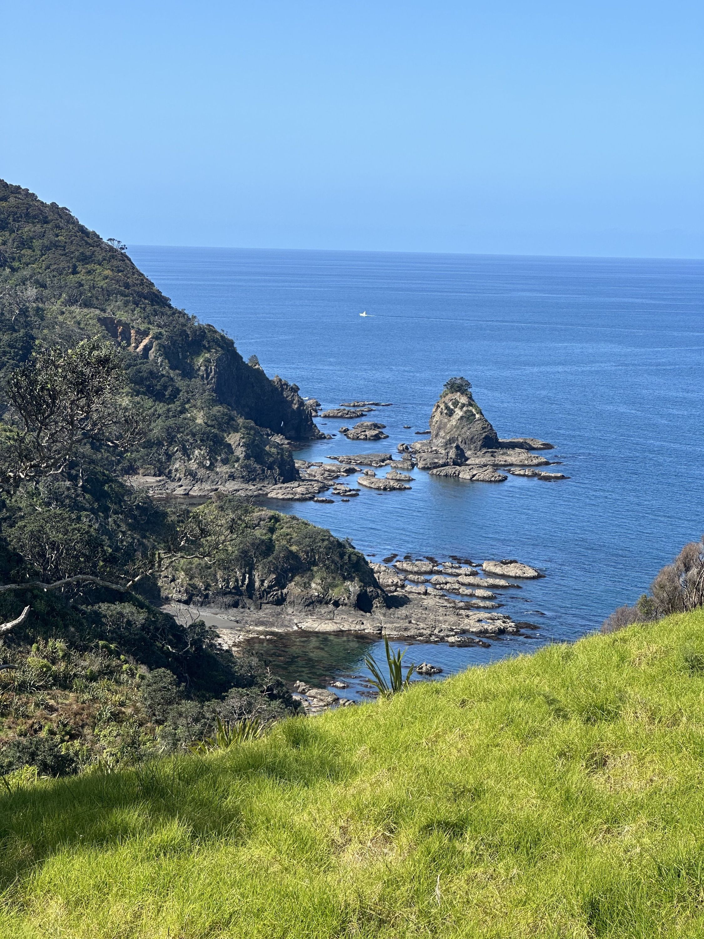 Whangaruru North Head Loop, Northland - Trails Photo Gallery - Wild Things