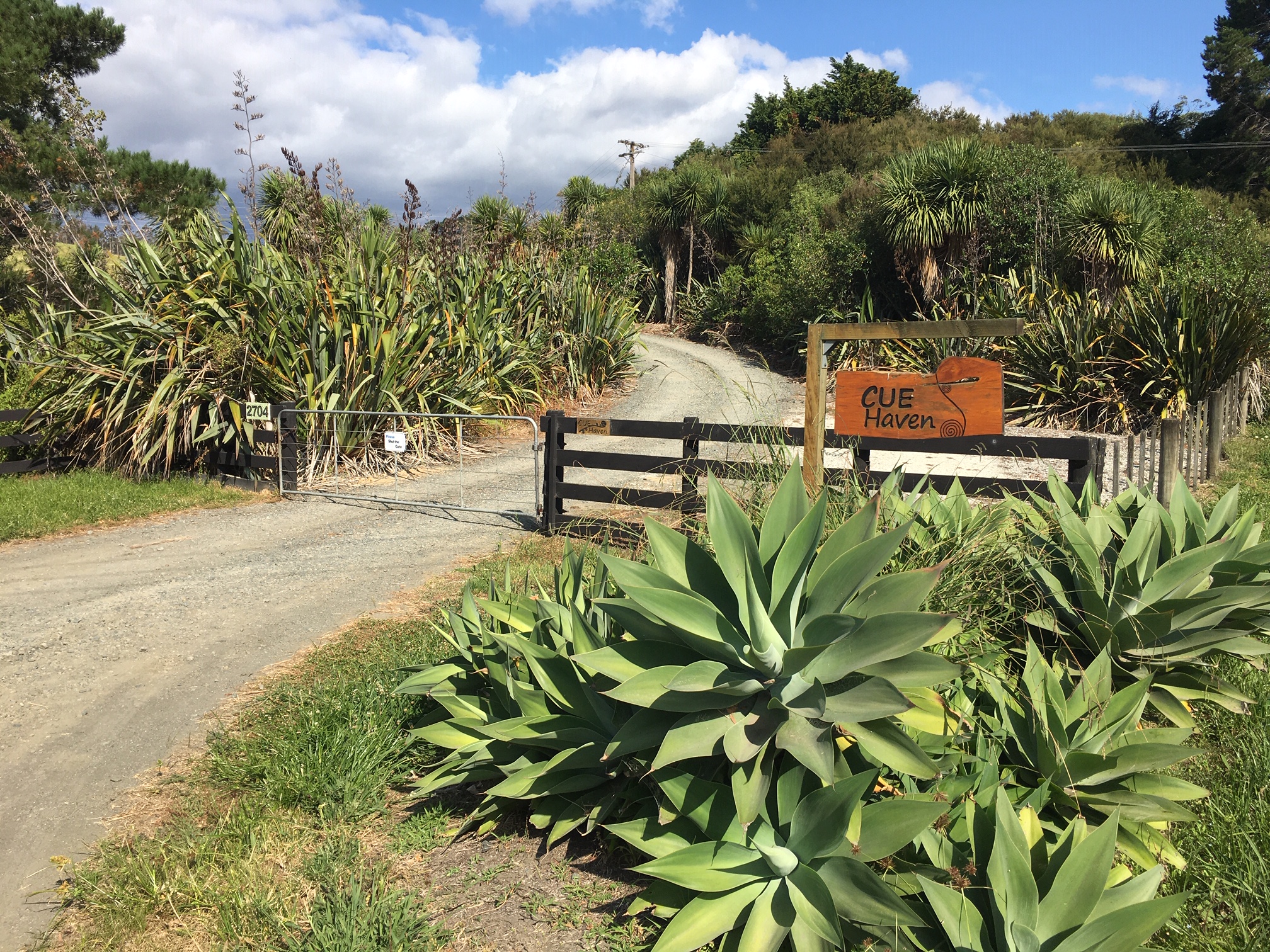 Right on Cue, Auckland - Trails Photo Gallery - Wild Things