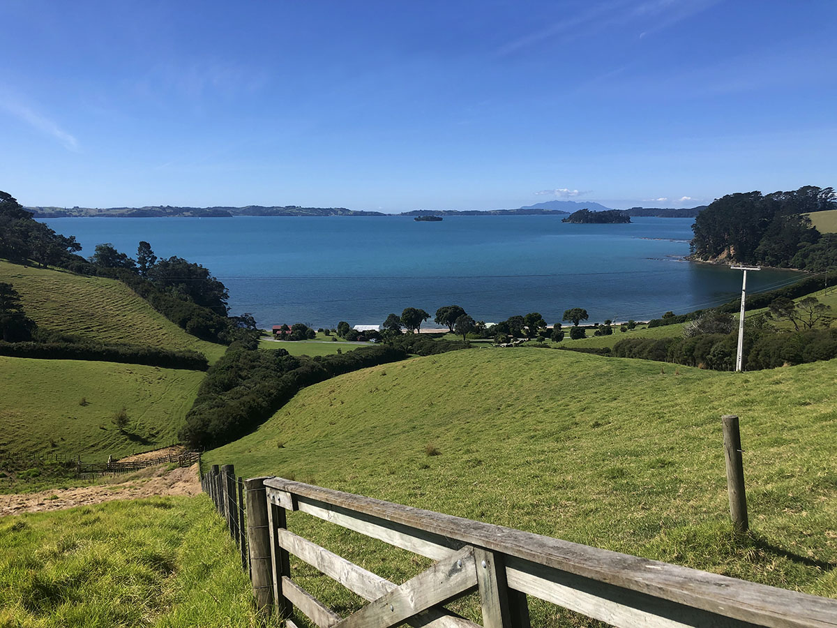 All the Trails at Scandrett, Auckland - Trails Photo Gallery - Wild Things