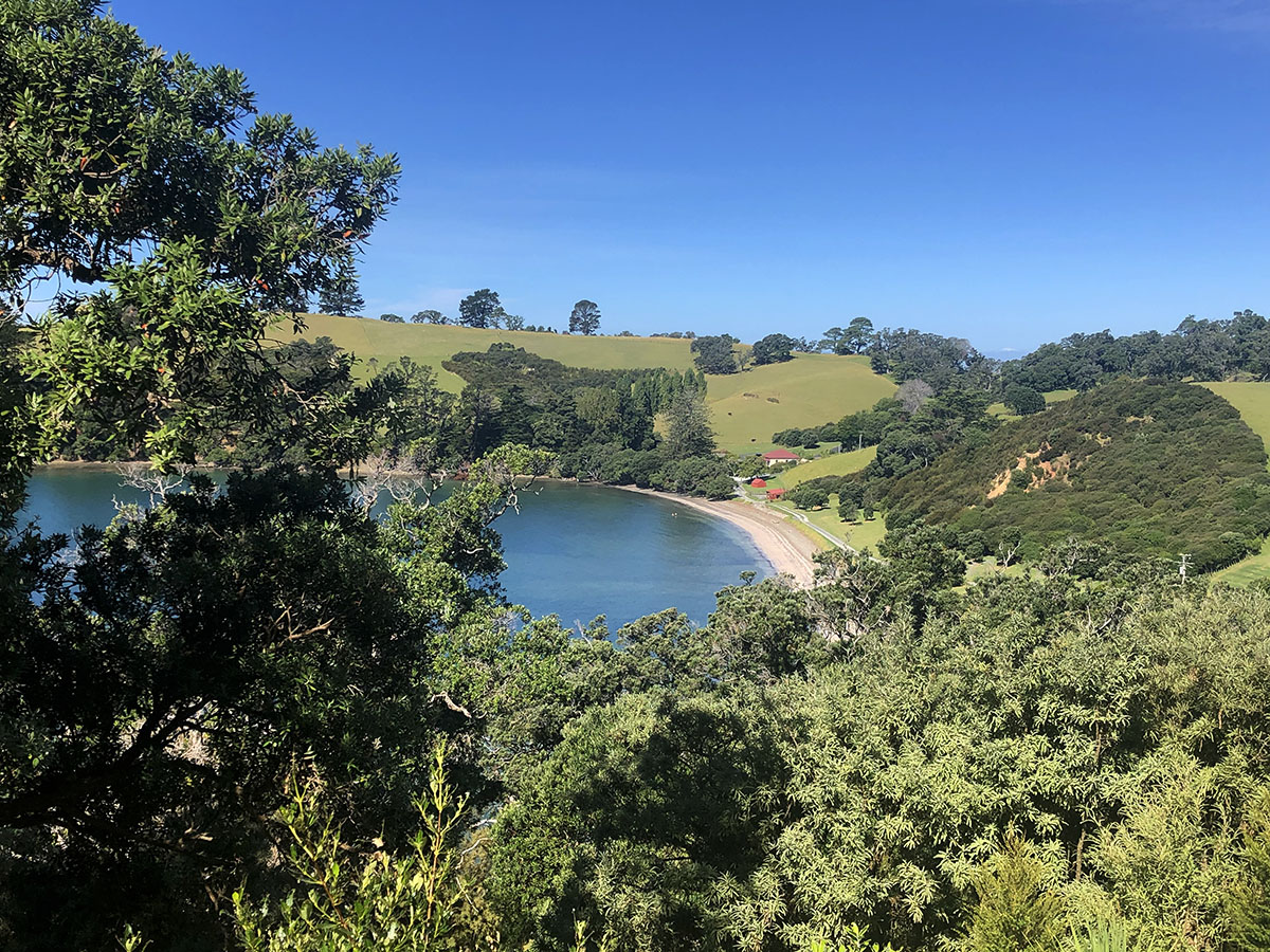 All the Trails at Scandrett, Auckland - Trails Photo Gallery - Wild Things