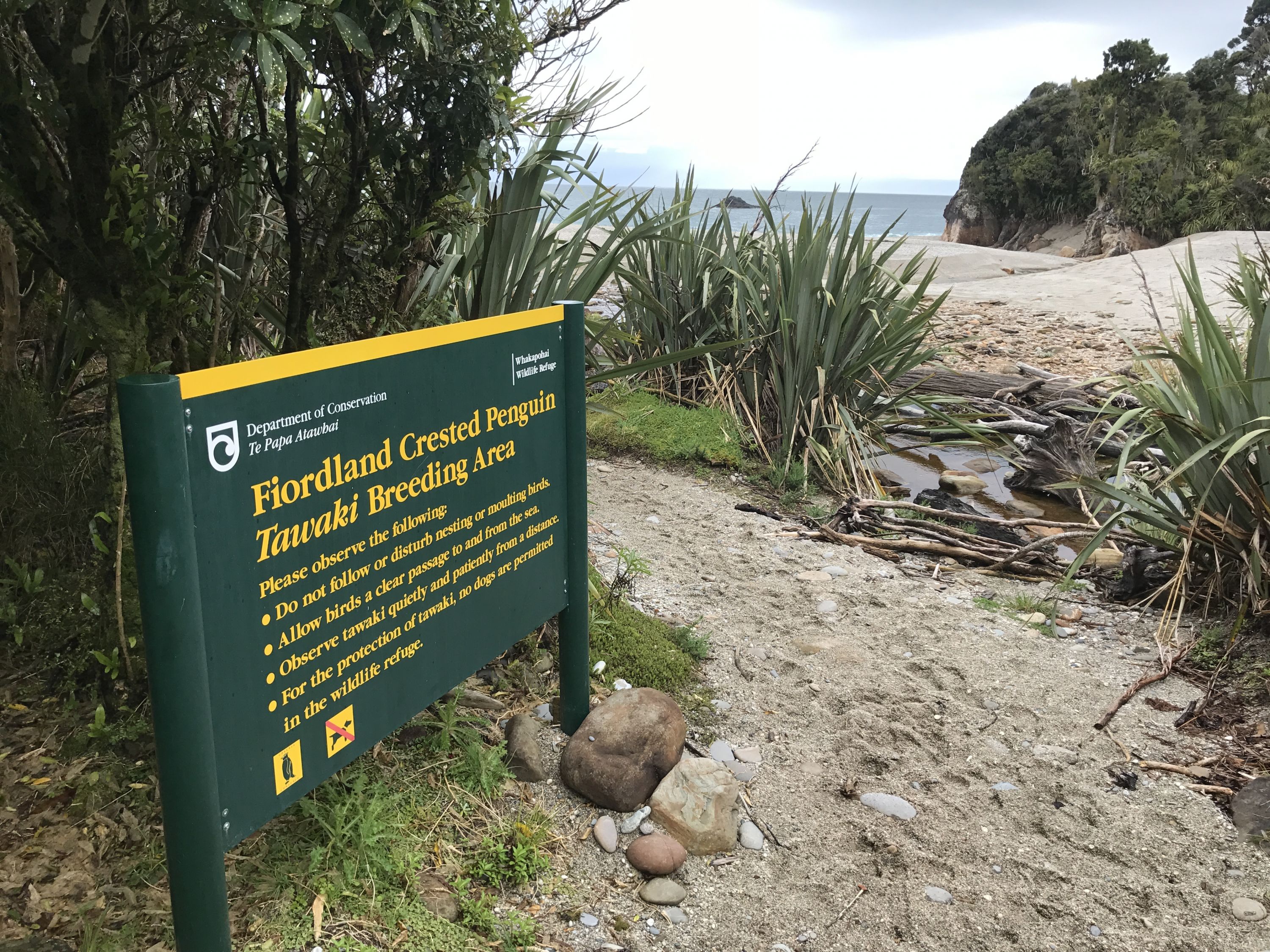 Monro Beach Track, West Coast - Trails Photo Gallery - Wild Things