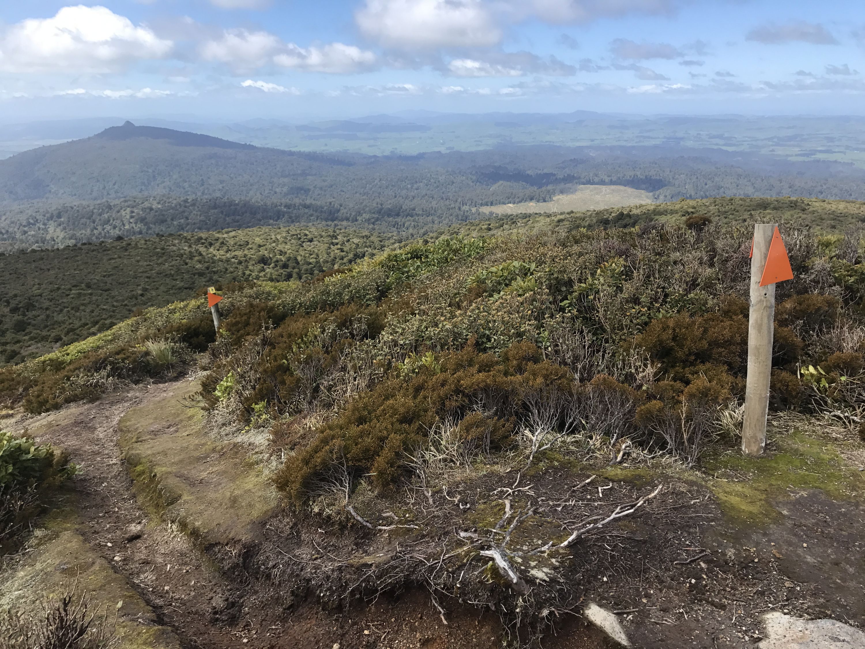Pureora Double, Manawatu - Wanganui - Trails Photo Gallery - Wild Things