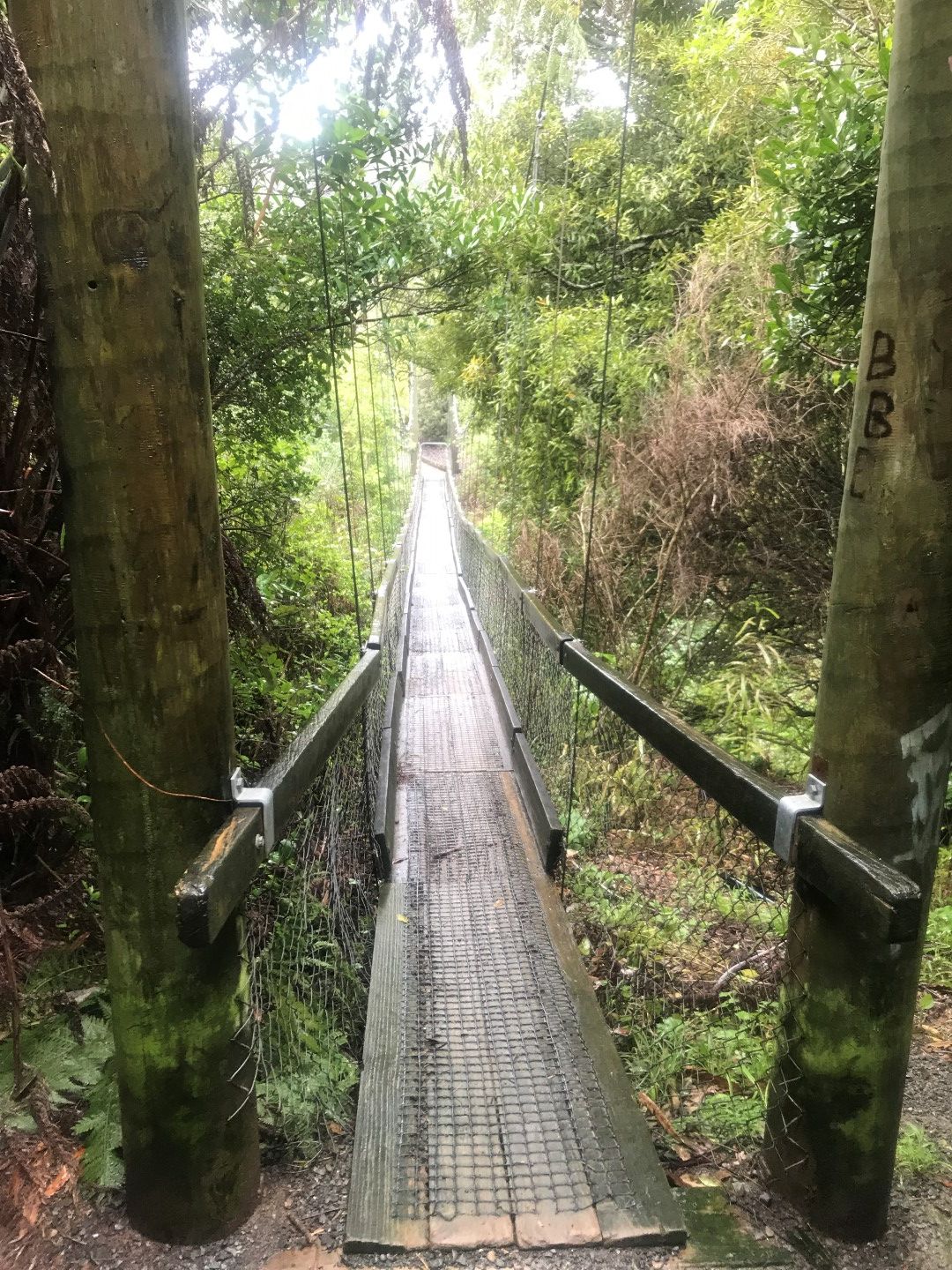 Birchville Dam Loop, Wellington - Trails Photo Gallery - Wild Things
