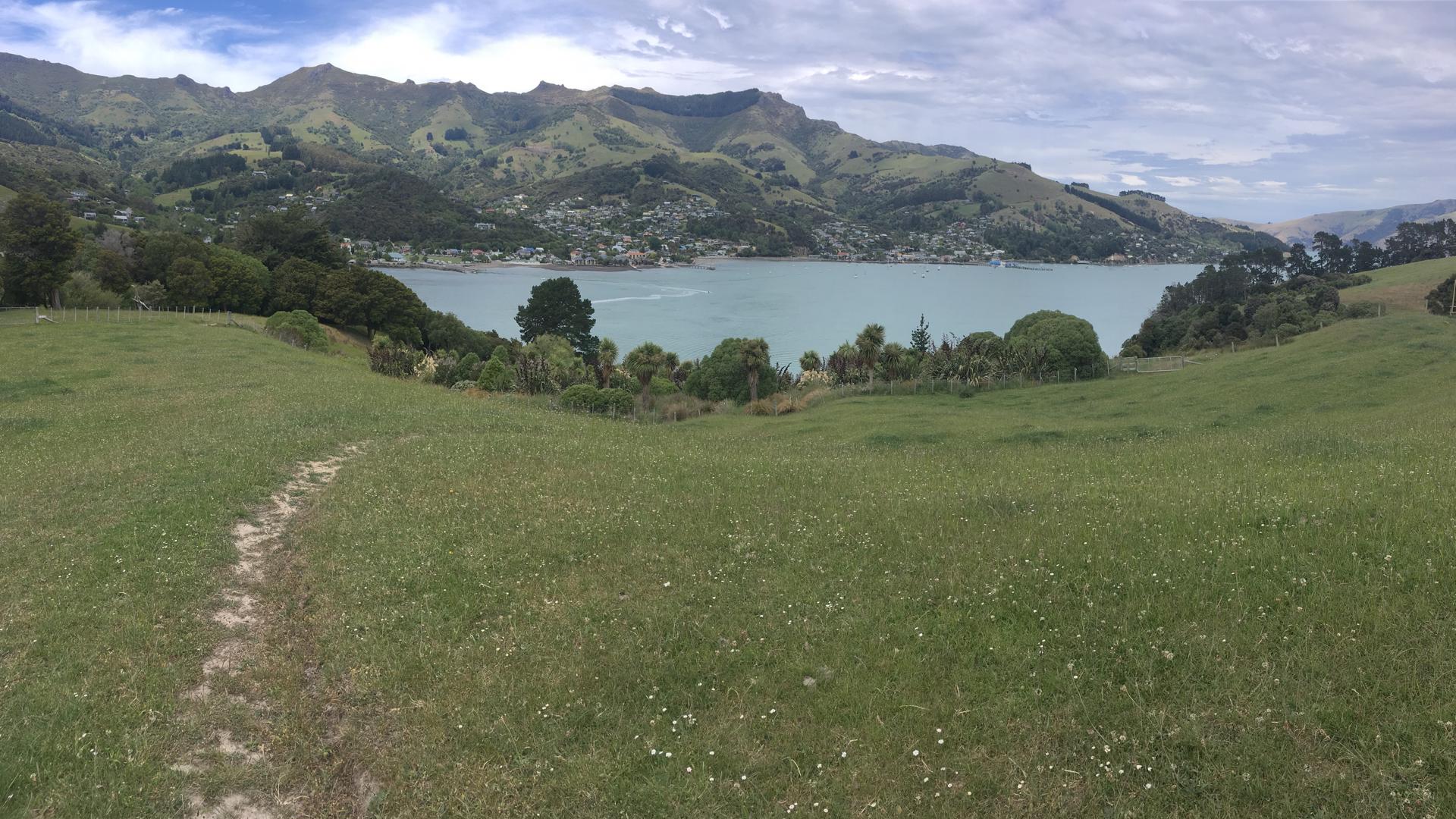 Moa Point Loop, Canterbury - Trails Photo Gallery - Wild Things