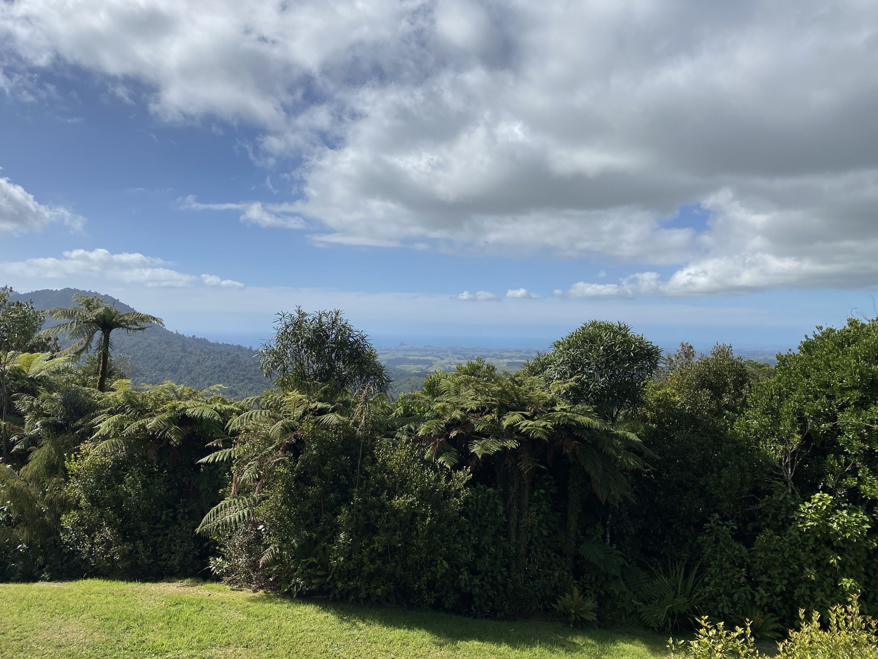 Rain Forest Romp at Pukeiti, Taranaki - Trails Photo Gallery - Wild Things