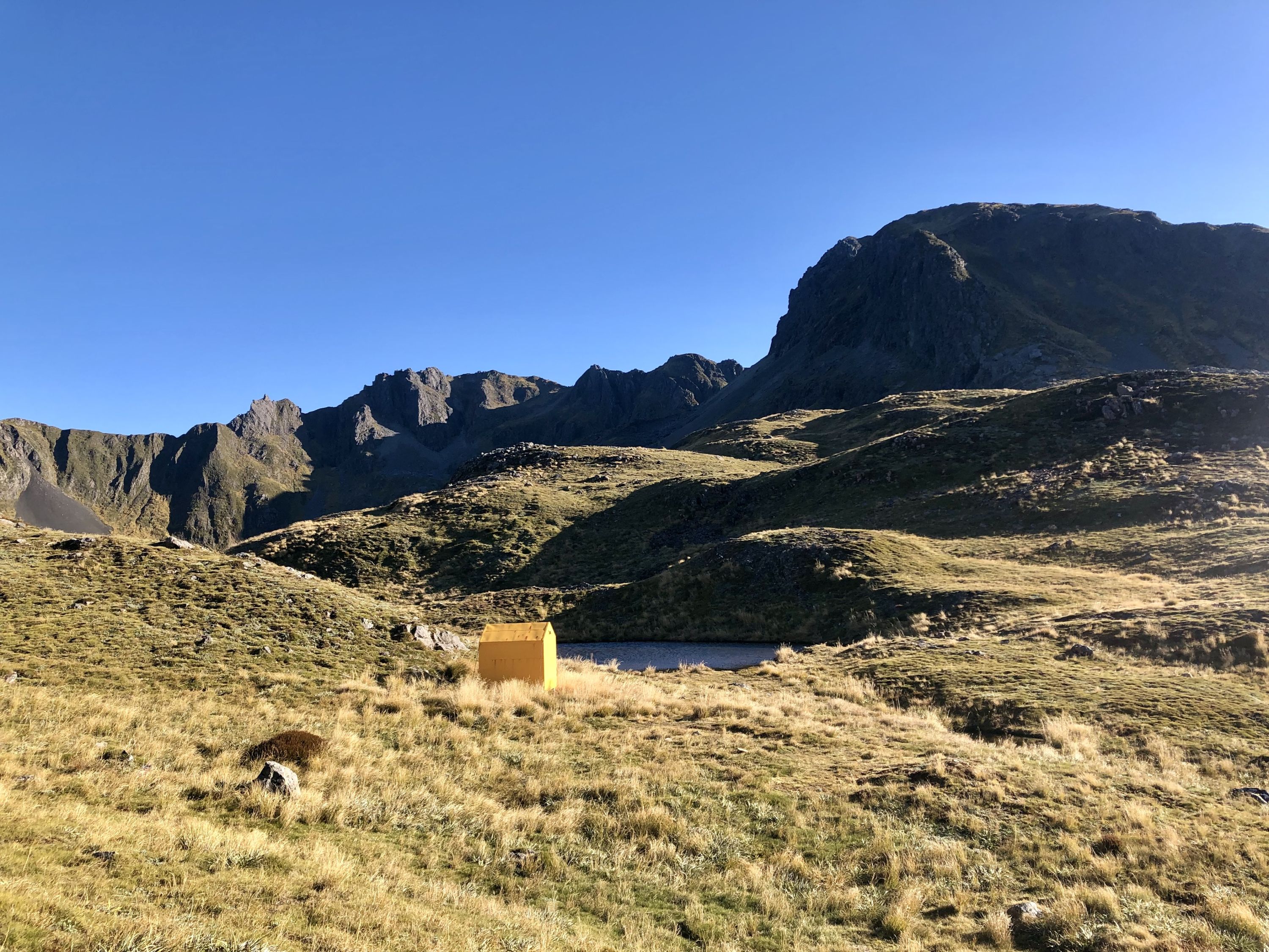 Lewis Tops, West Coast - Trails Photo Gallery - Wild Things