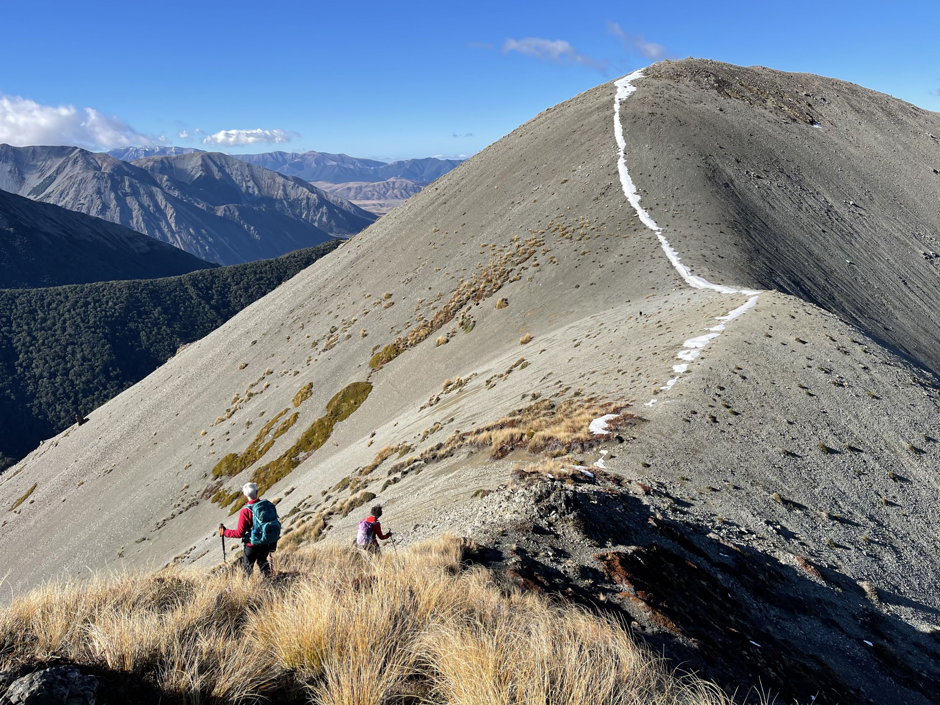 Camp Saddle to Lyndon Saddle Loop, Canterbury - Trails Photo Gallery ...