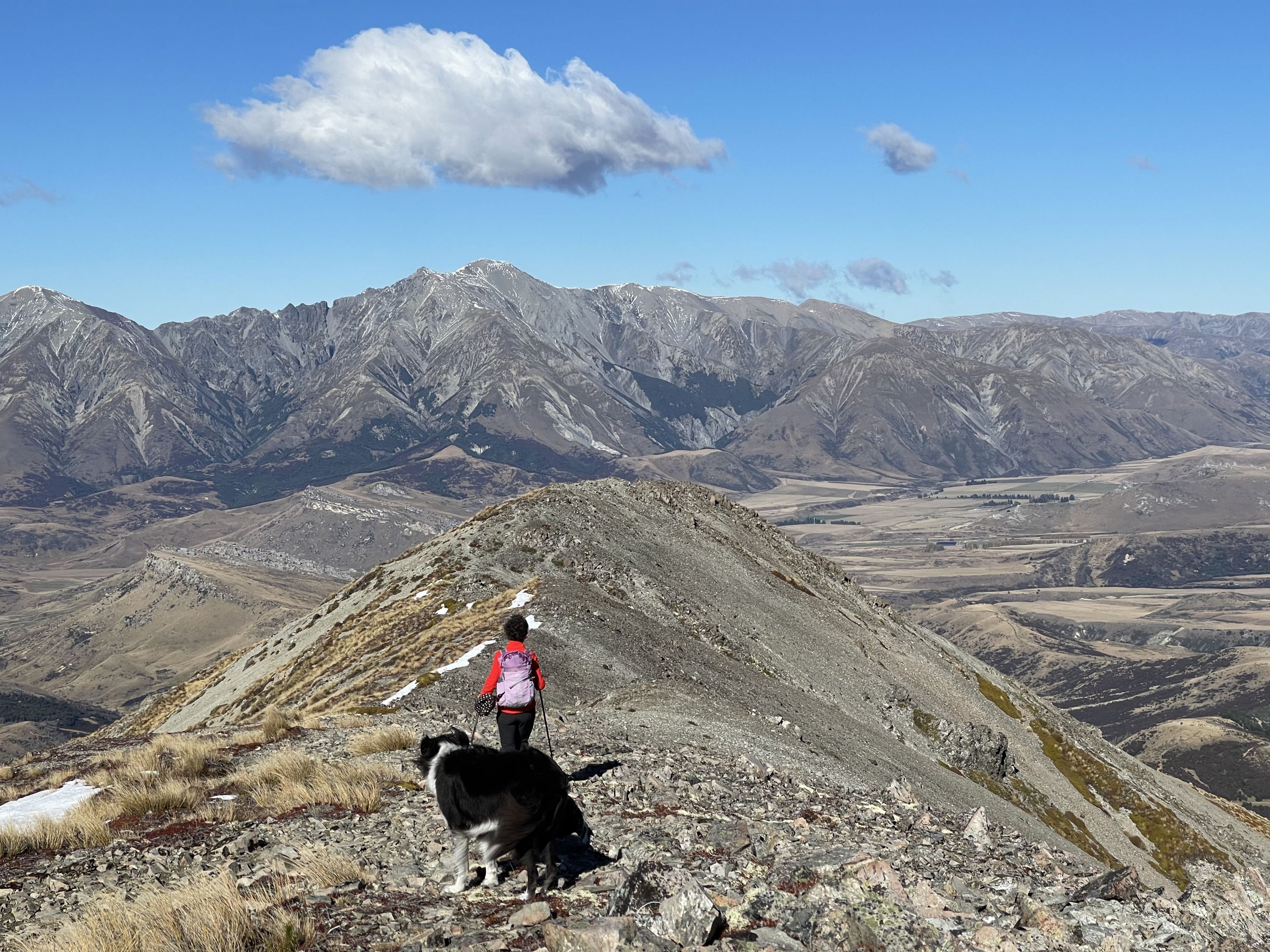 Camp Saddle to Lyndon Saddle Loop, Canterbury - Trails Photo Gallery ...