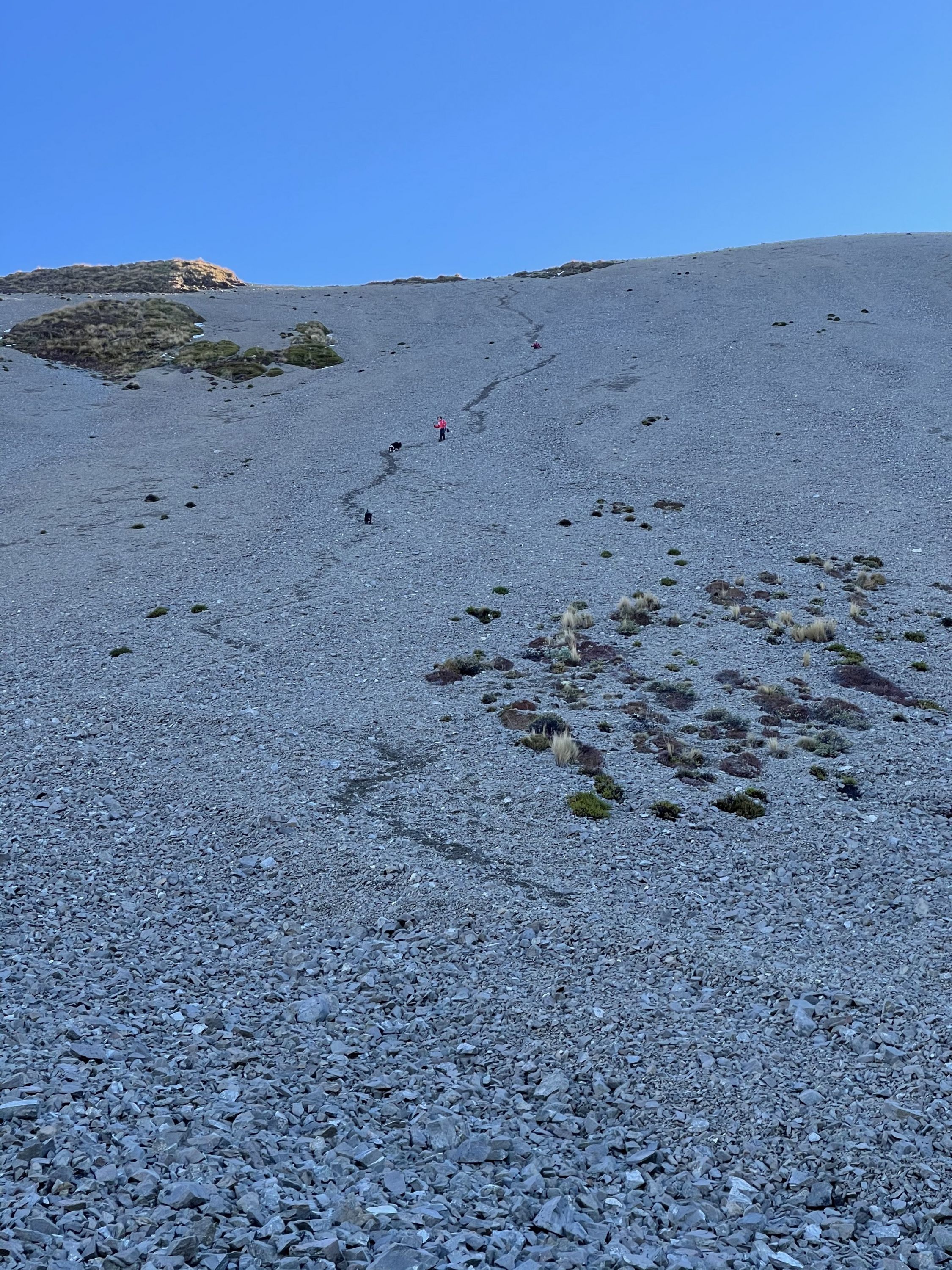 Camp Saddle to Lyndon Saddle Loop, Canterbury - Trails Photo Gallery ...
