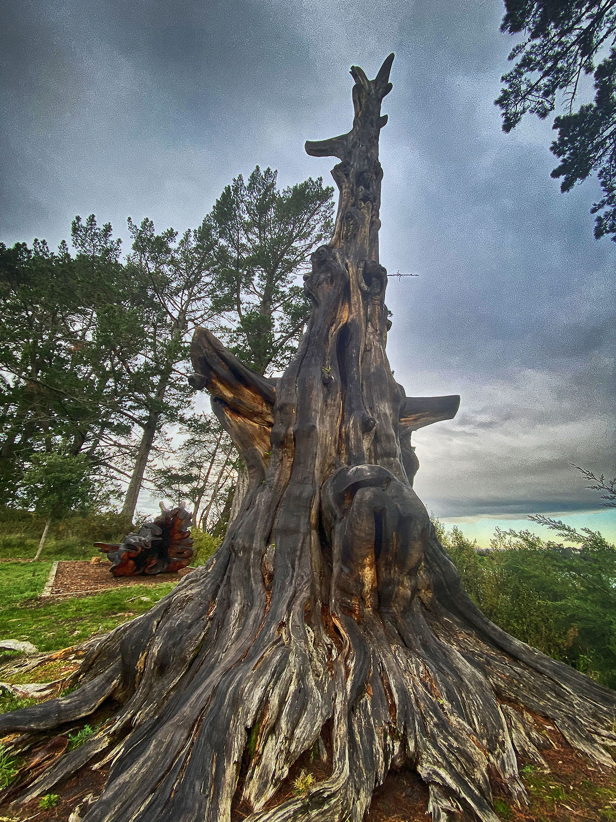 Sanders Reserve, Auckland - Trails Photo Gallery - Wild Things