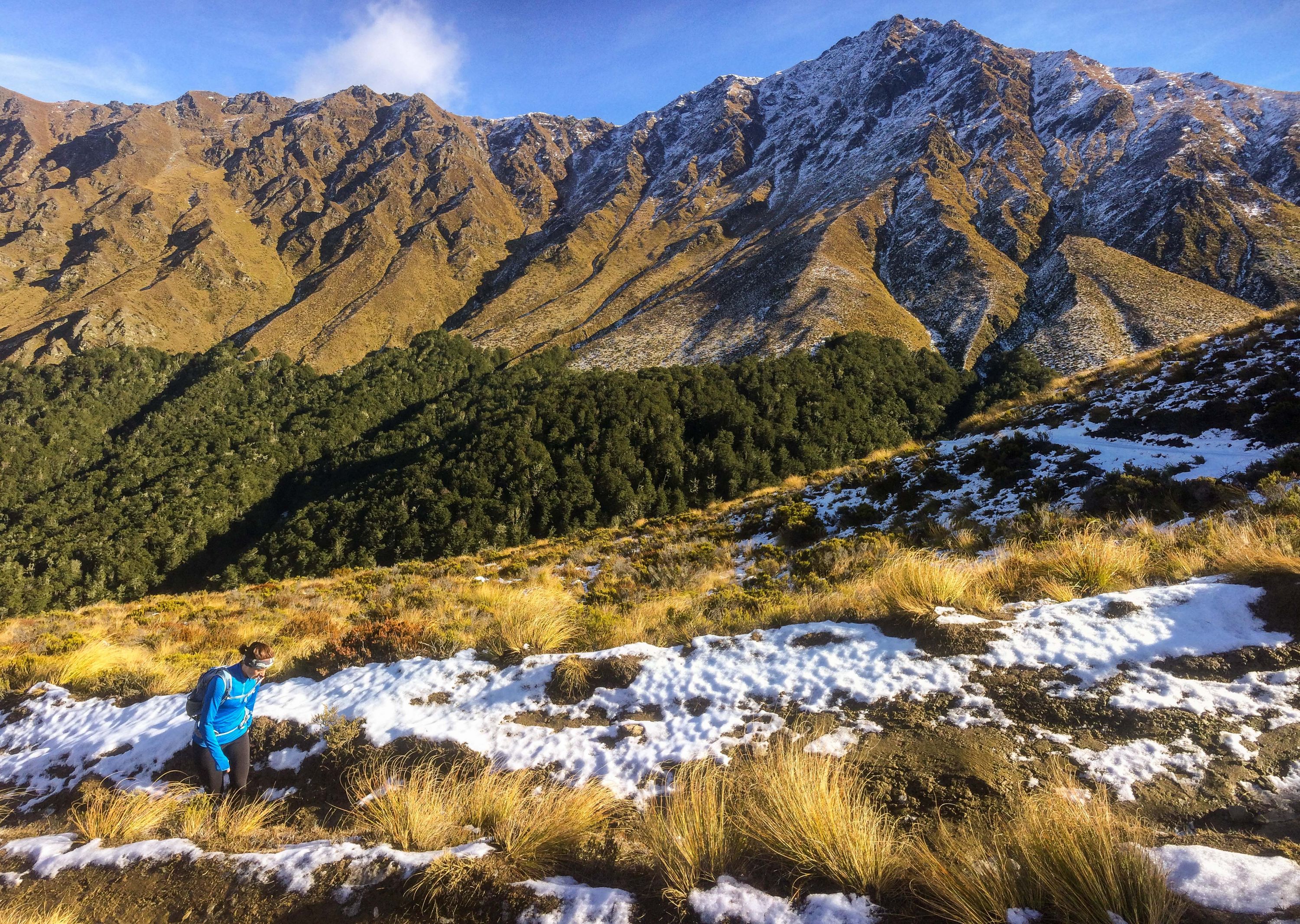 Ben Lomond from One Mile, Otago - Trails Photo Gallery - Wild Things