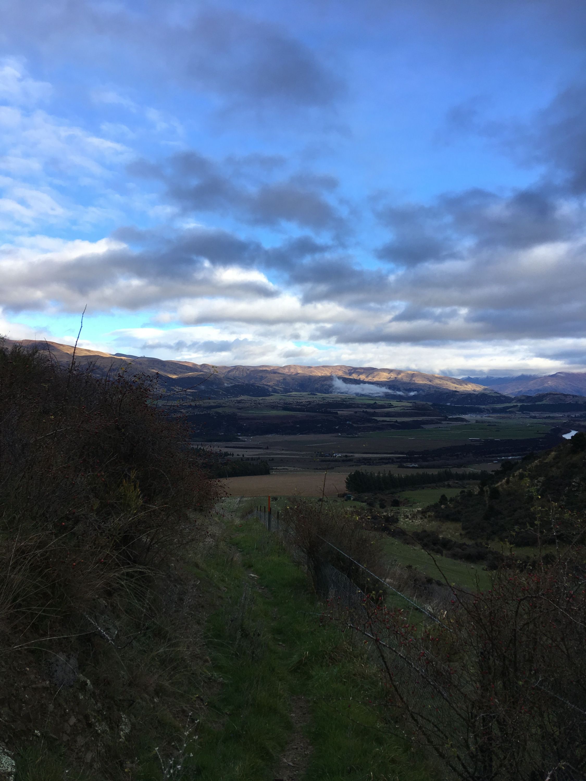 Long Gully Loop, Otago - Trails Photo Gallery - Wild Things