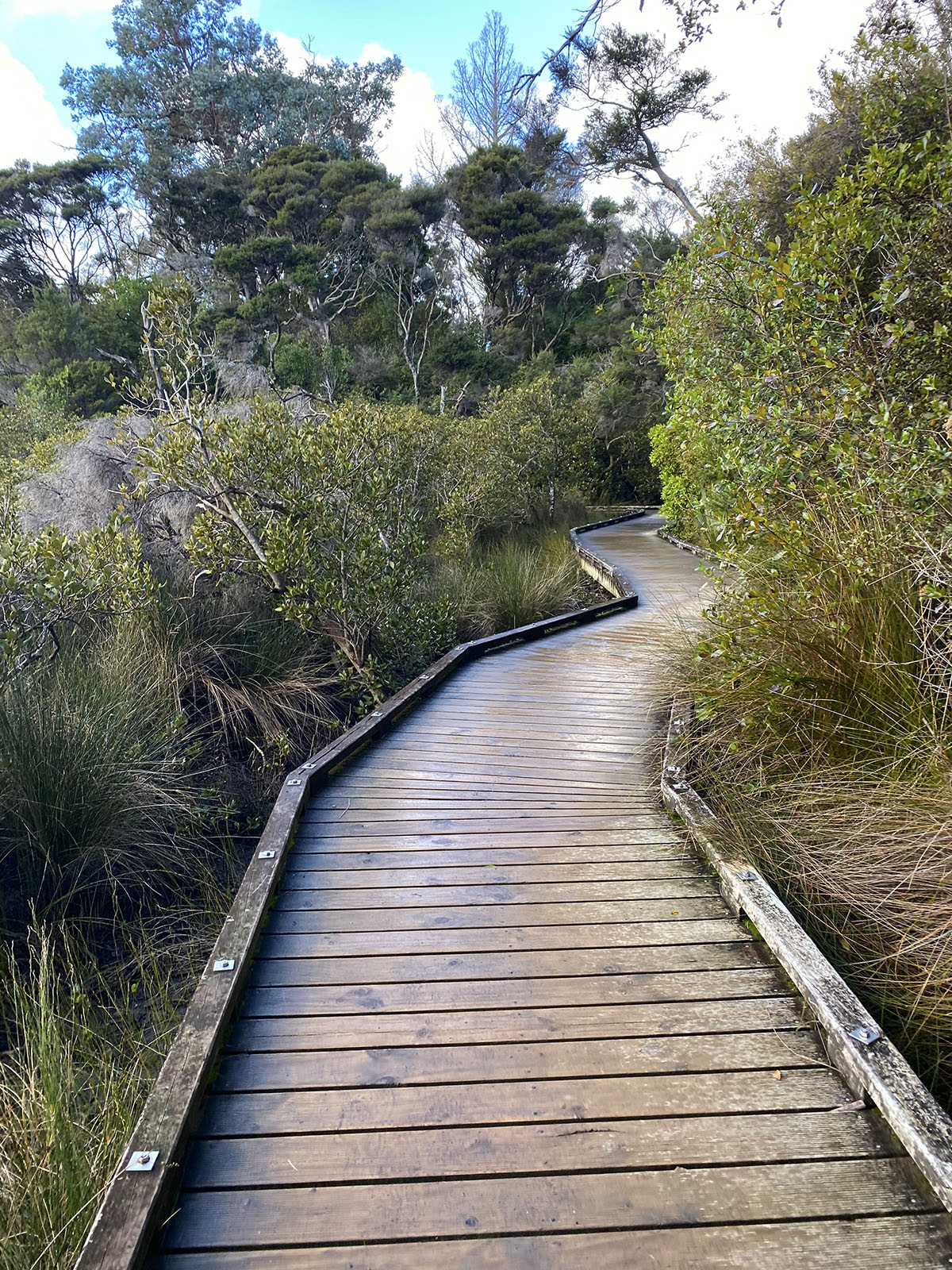 Around the Outside at Te Atatu, Auckland - Trails Photo Gallery - Wild ...