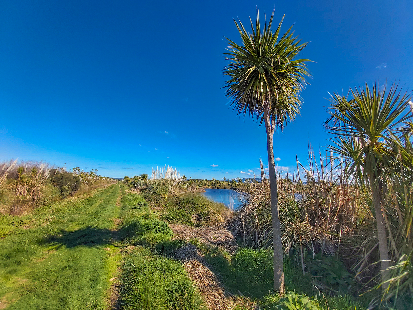 Kaituna Wetlands, Bay of Plenty - Trails Photo Gallery - Wild Things