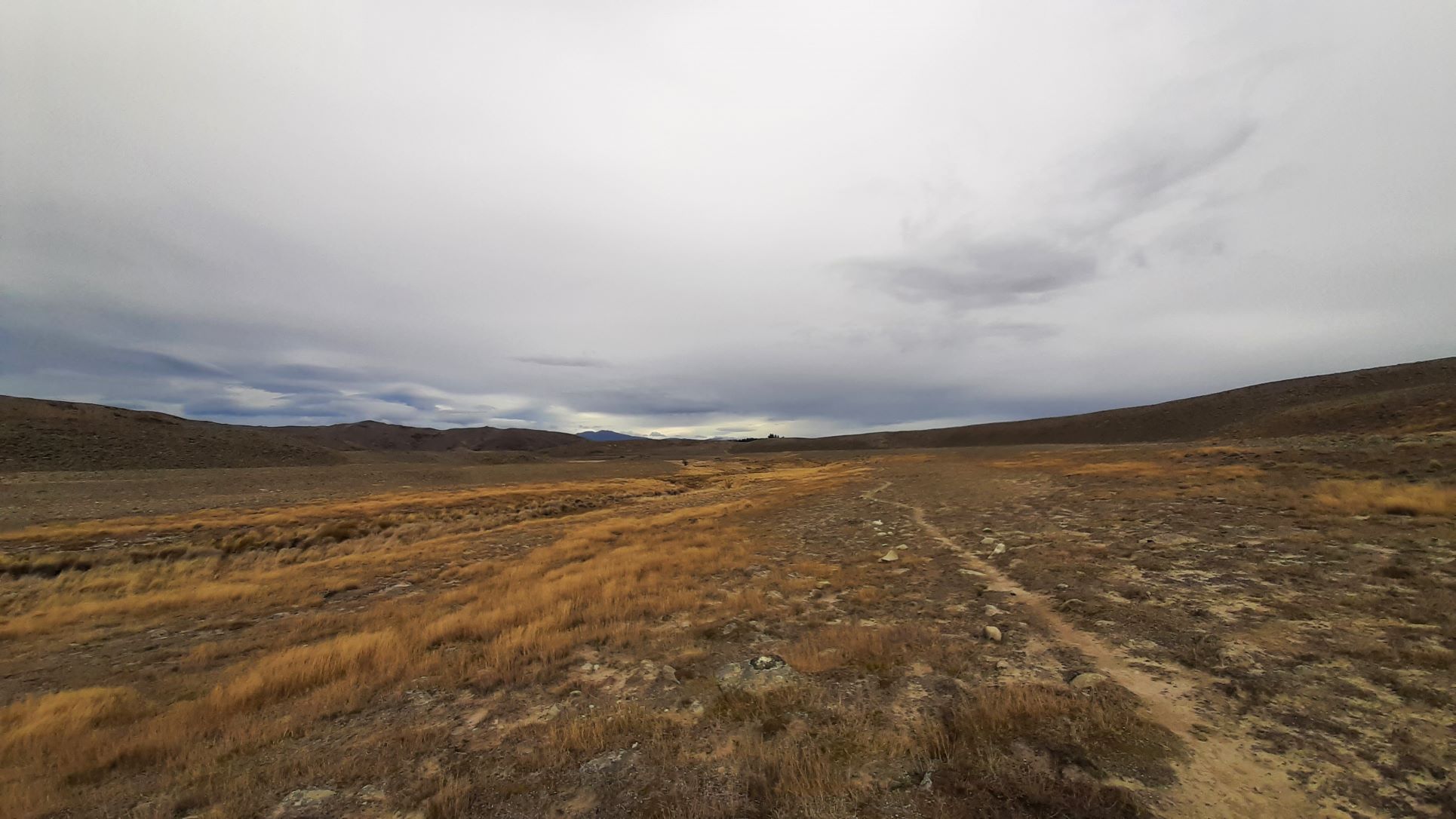 Tekapo Lagoon Loop , Canterbury - Trails Photo Gallery - Wild Things