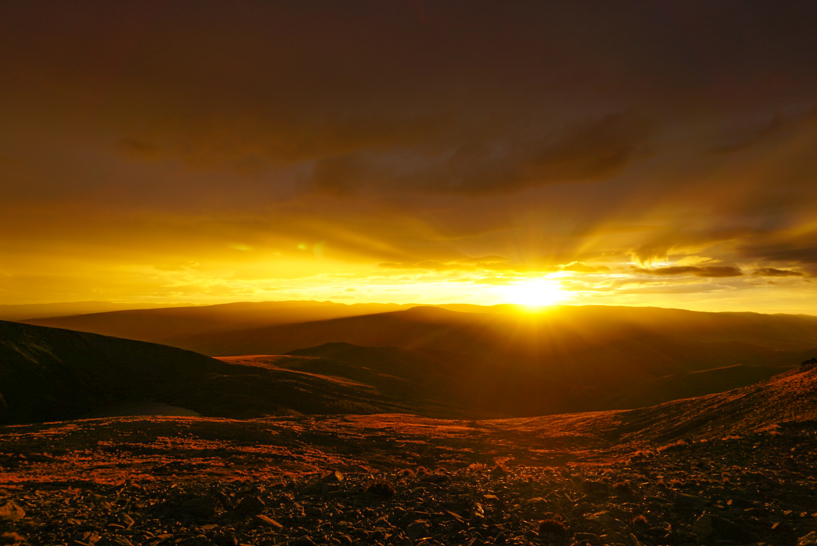 Hidden Lake Loop, Otago - Trails Photo Gallery - Wild Things