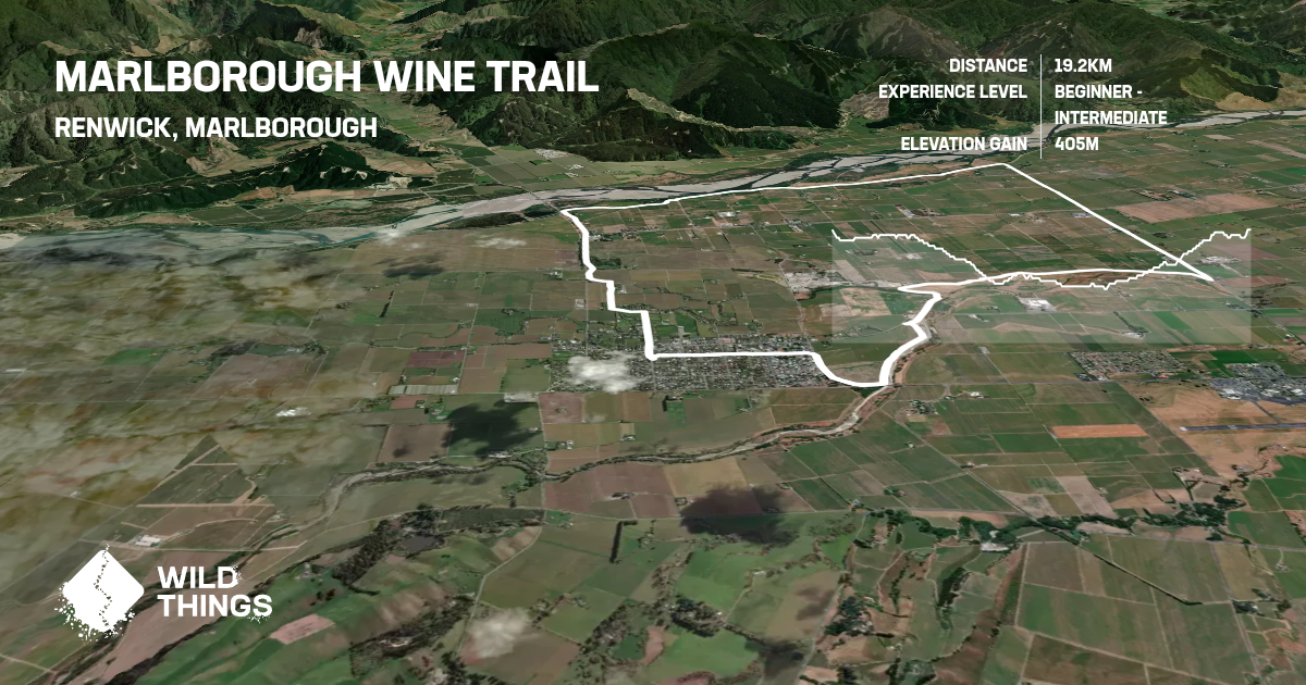 Marlborough Wine Trail, Marlborough, New Zealand - Trail Running ...