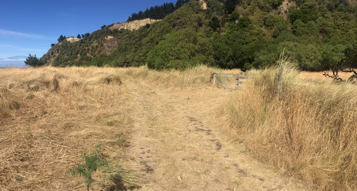 Manuka Bay Track, Canterbury - Trails Photo Gallery - Wild Things