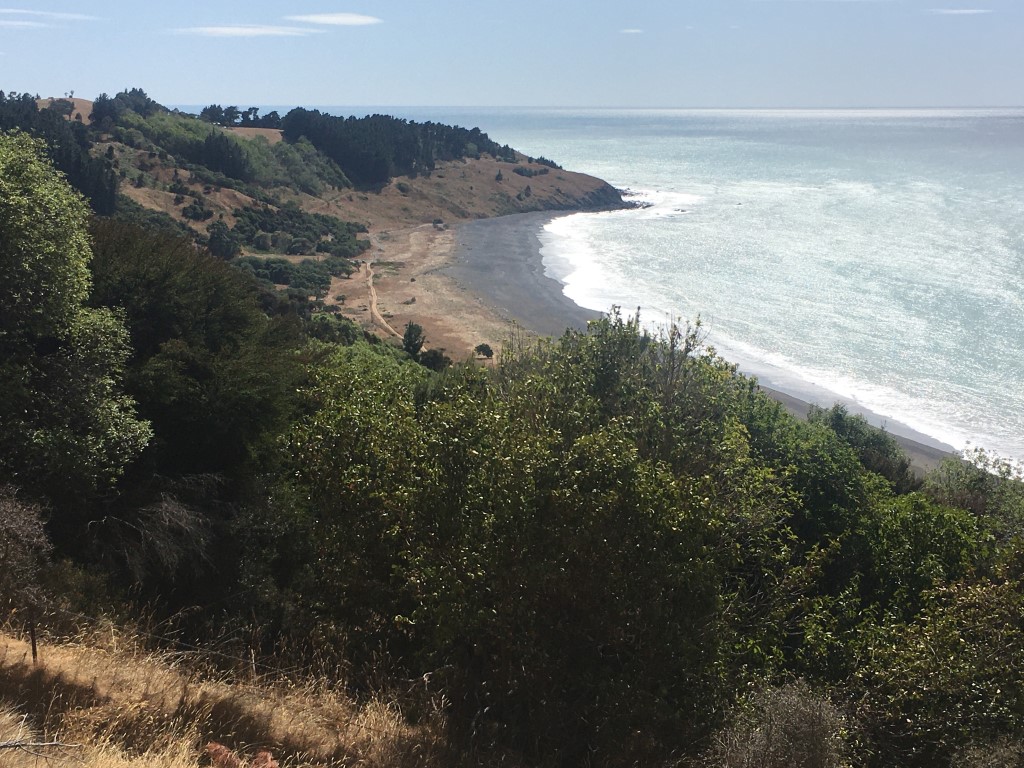 Manuka Bay Track, Canterbury - Trails Photo Gallery - Wild Things