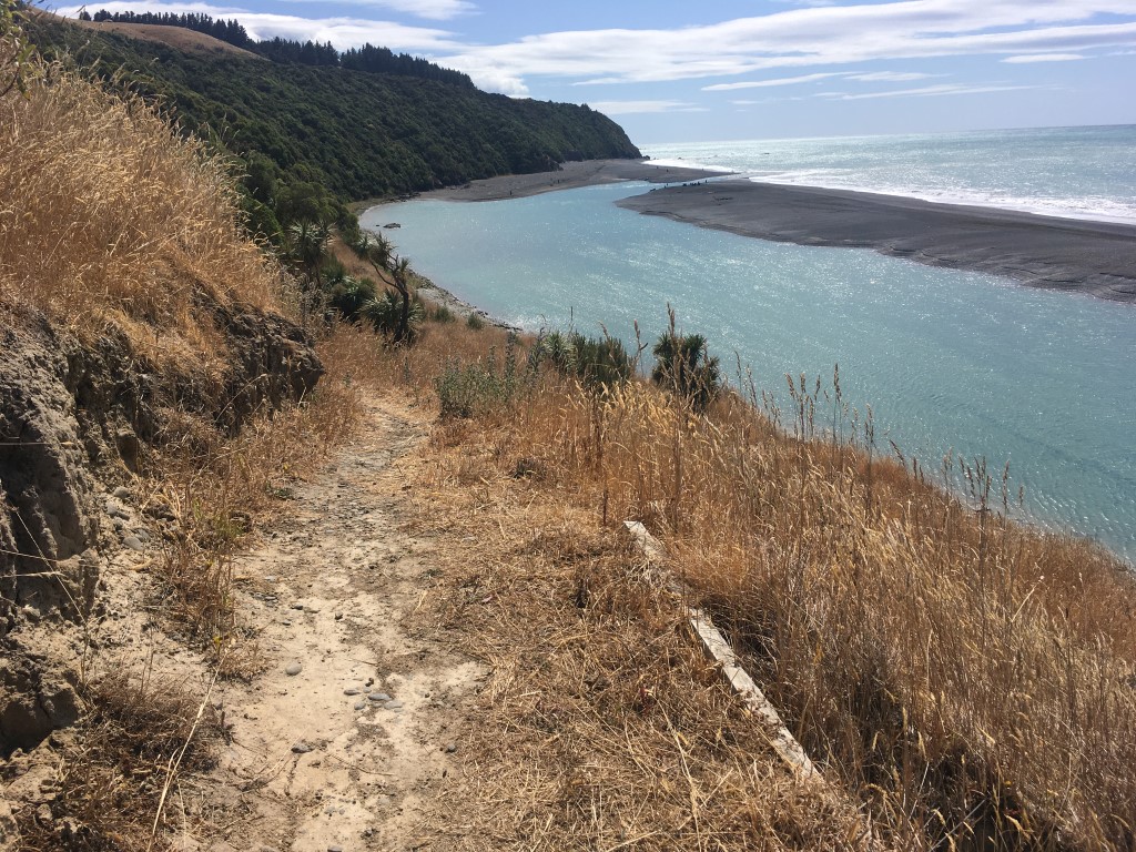 Manuka Bay Track, Canterbury - Trails Photo Gallery - Wild Things