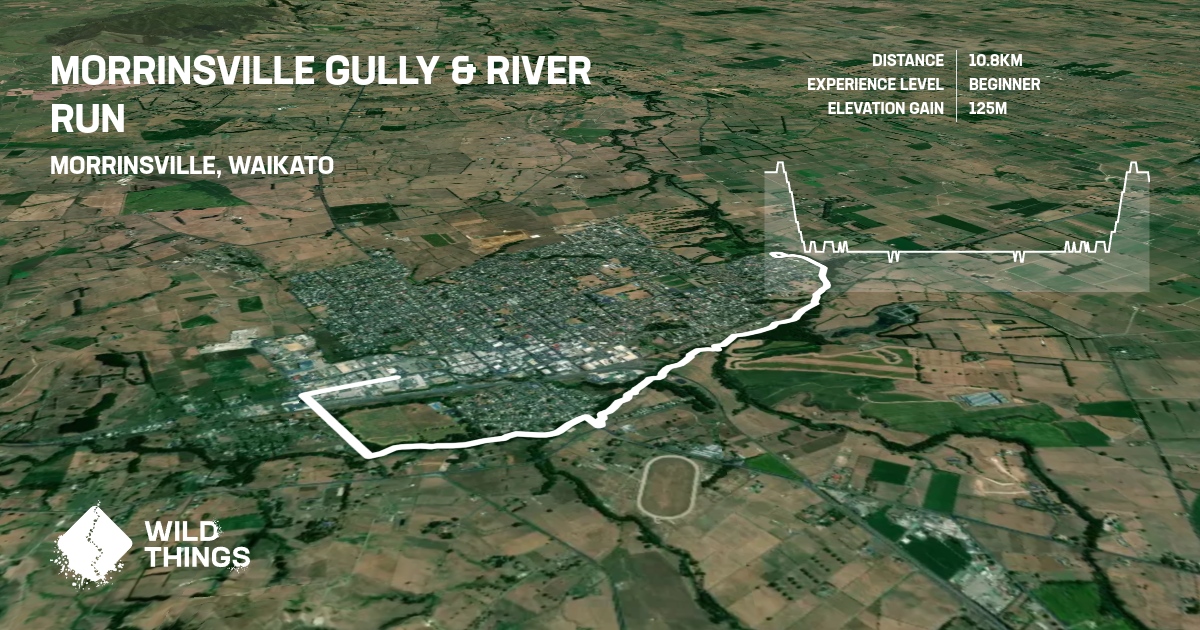 Morrinsville Gully & River Run, Waikato, New Zealand - Trail Running ...
