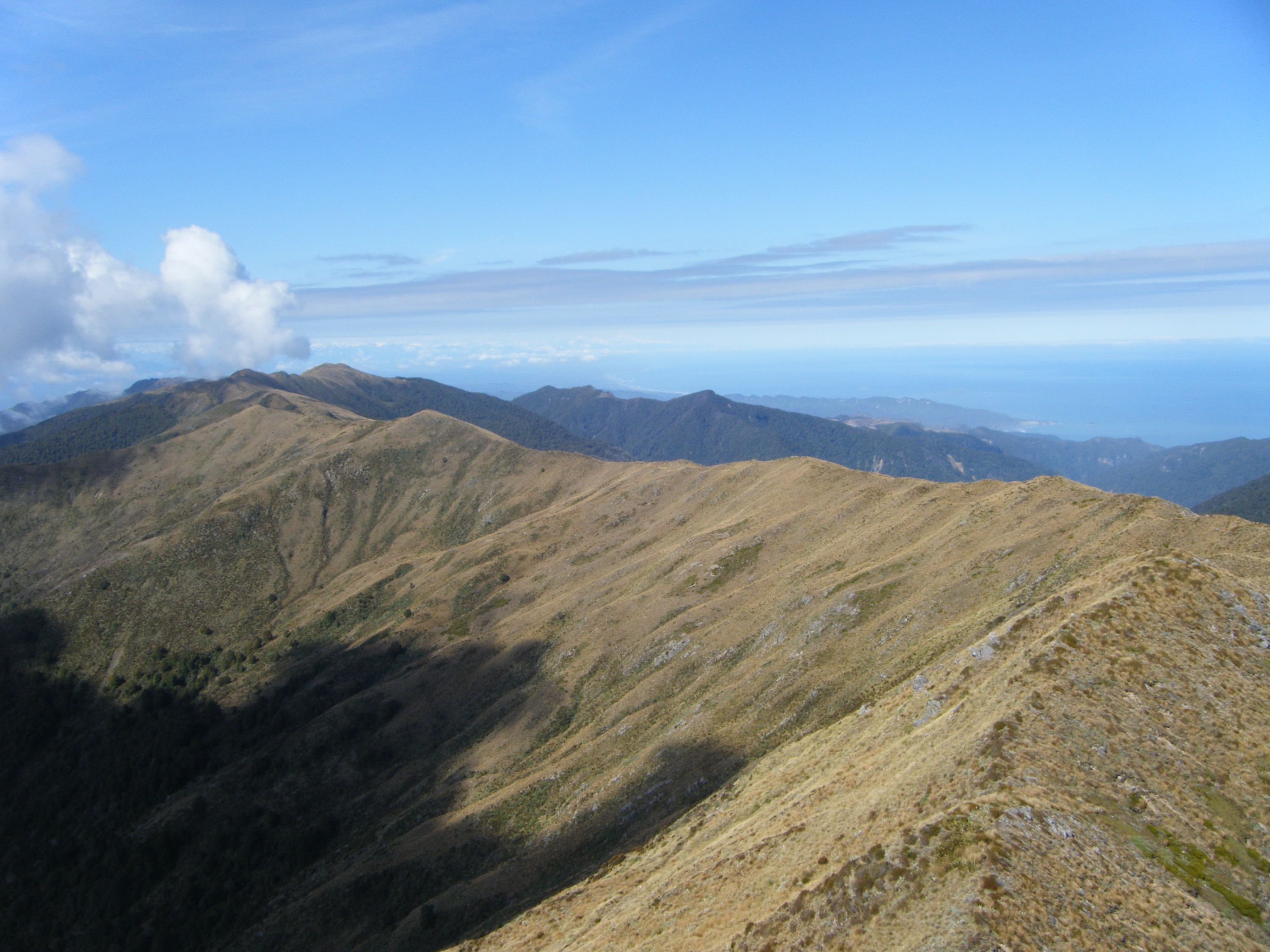 Mt Watson Croesus Loop, West Coast - Trails Photo Gallery - Wild Things