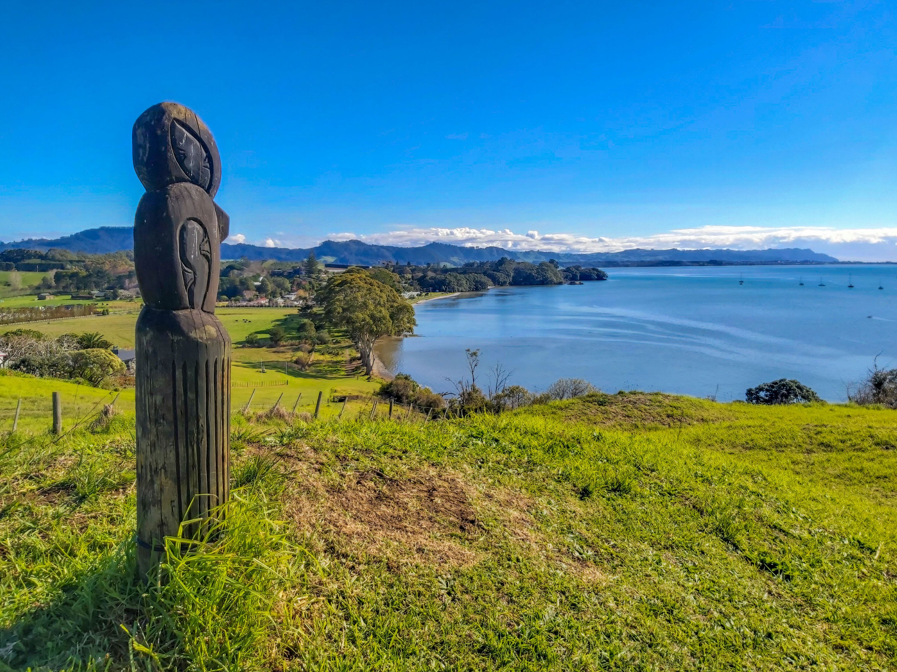 Kauri Point Kaper, Bay of Plenty - Trails Photo Gallery - Wild Things