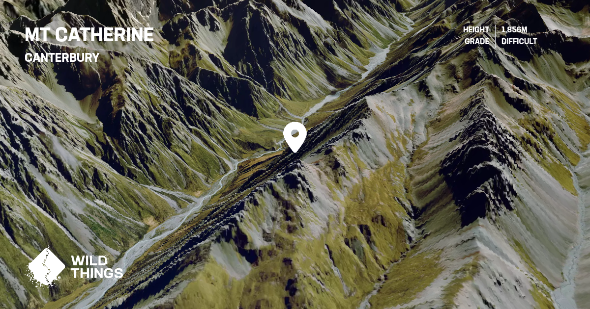 Mt Catherine , Canterbury, New Zealand - Peak Directory - Wild Things
