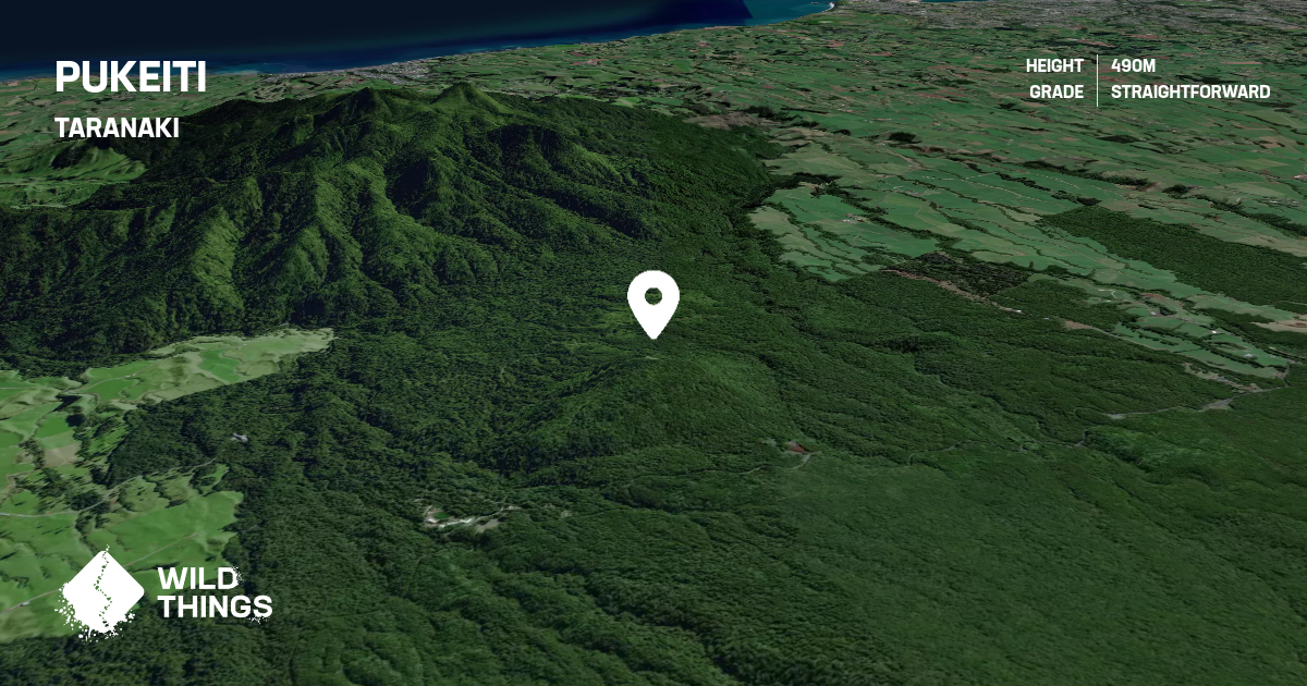 Pukeiti, Taranaki, New Zealand - Peak Directory - Wild Things