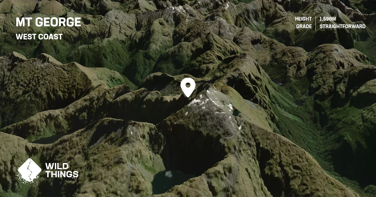 Mt George, West Coast, New Zealand - Peak Directory - Wild Things