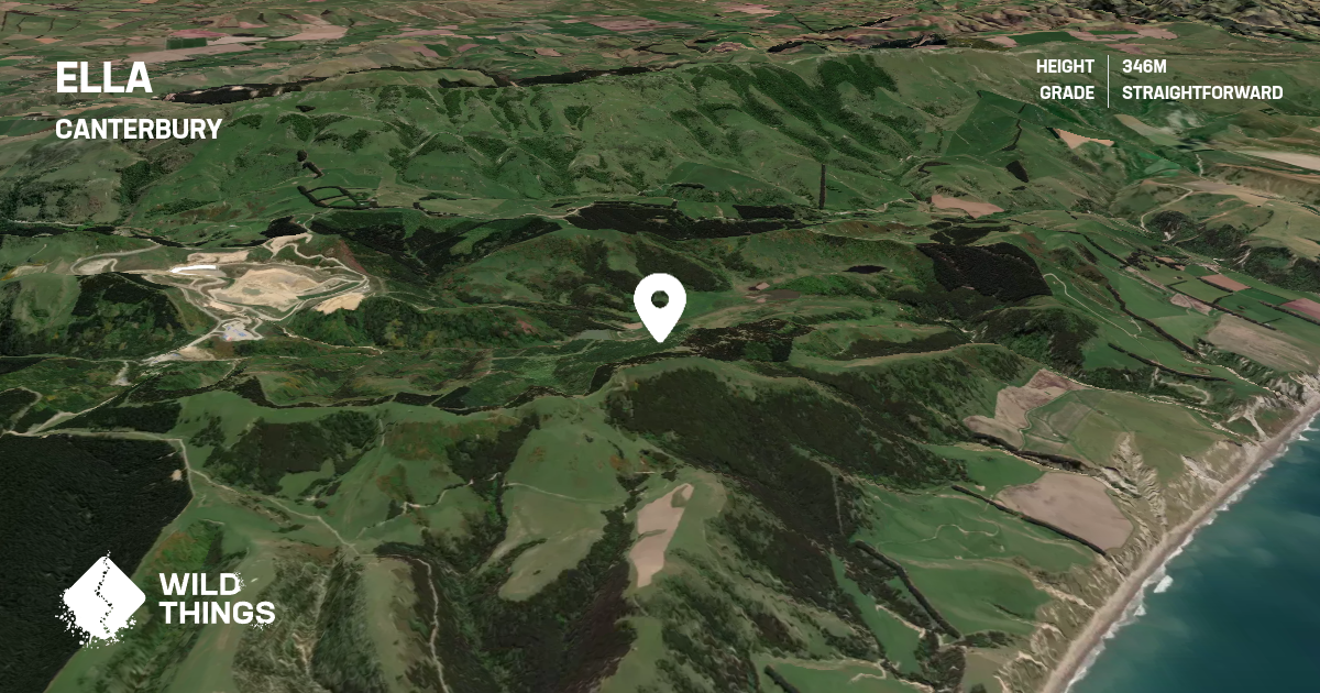 Ella, Canterbury, New Zealand - Peak Directory - Wild Things