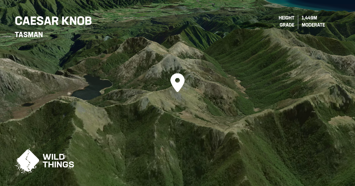 Caesar Knob, Tasman, New Zealand - Peak Directory - Wild Things
